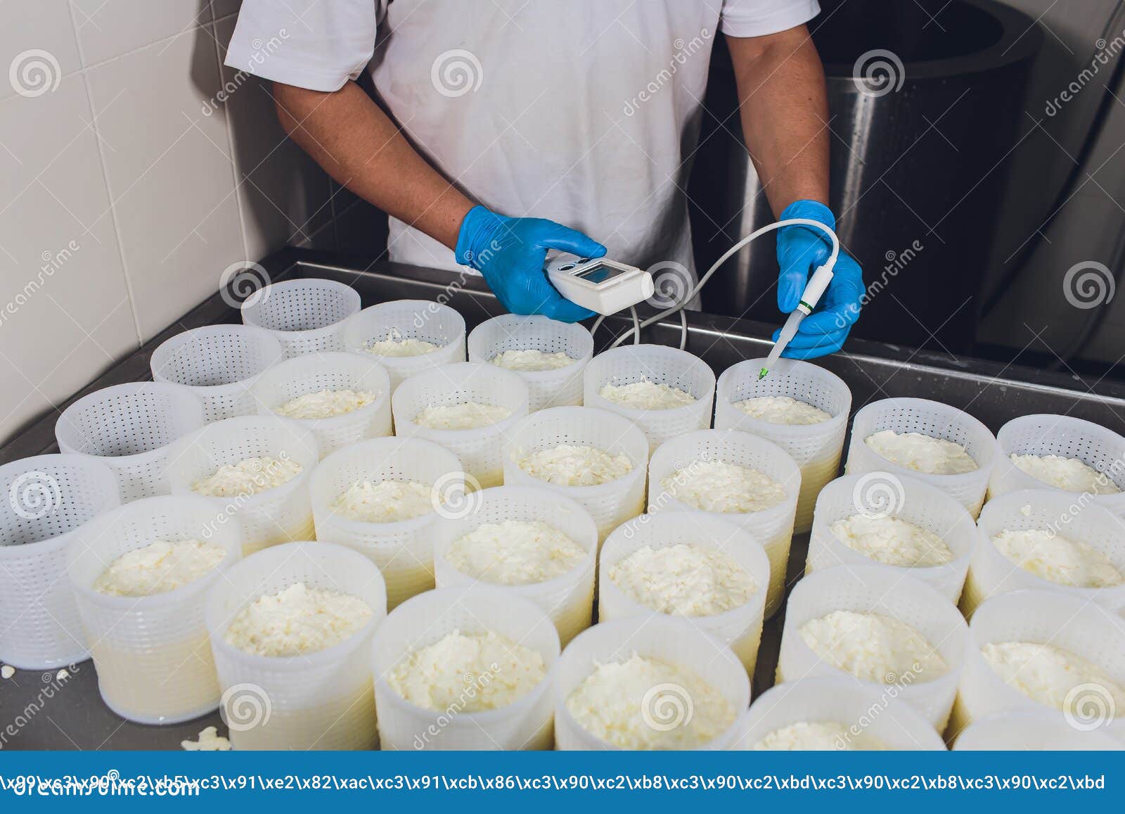 Close-up of a Man Forming Cheese into the Plastic Molds at the Small ...