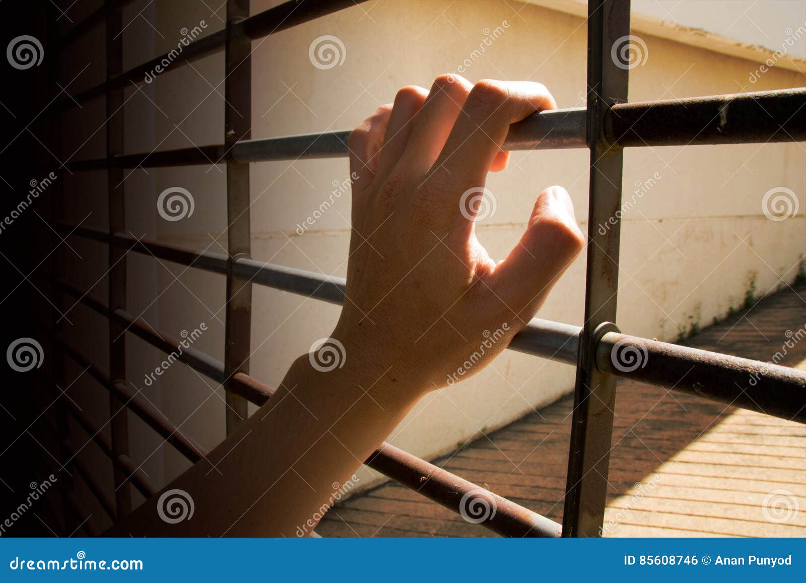 Close Up Man Hands are Holding the Cage Door Stock Photo - Image of ...