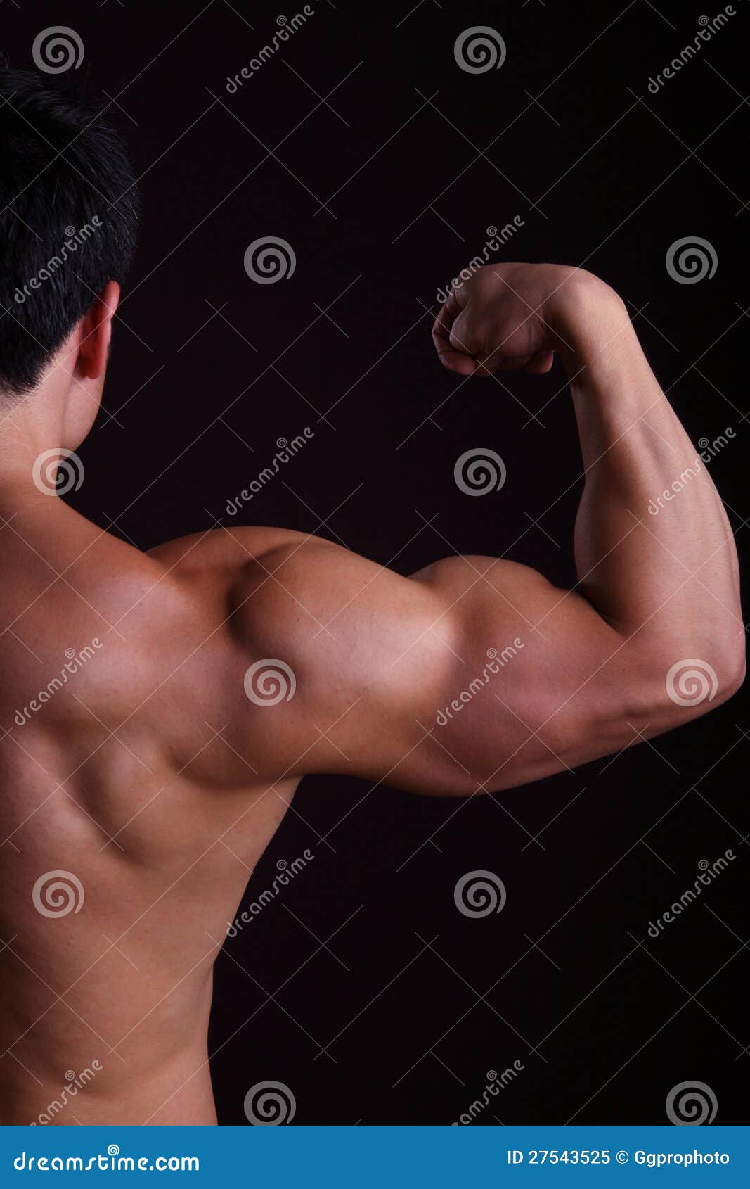 Close up of man s arm stock image. Image of contour, adult - 27543525