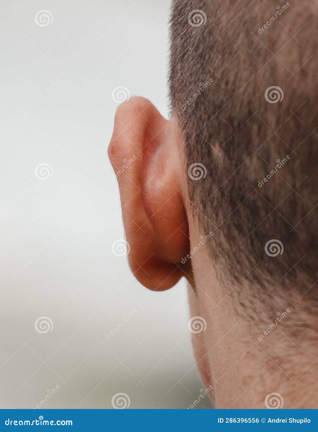 Close Up of a Man& X27;s Ear. Back View Stock Photo - Image of people ...