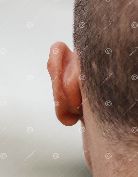 Close Up of a Man& X27;s Ear. Back View Stock Photo - Image of people ...