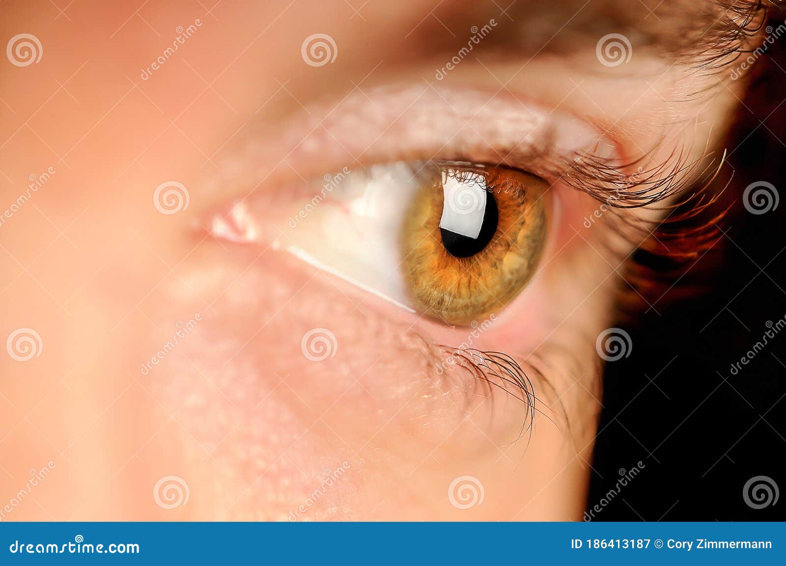 Close Up of a Man`s Eye Ball Stock Image - Image of care, sight: 186413187