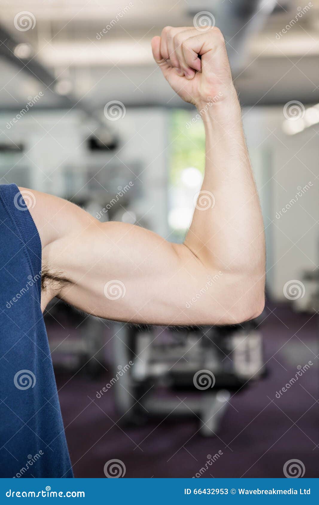 Close Up of Man Showing Biceps Stock Image - Image of slimming ...