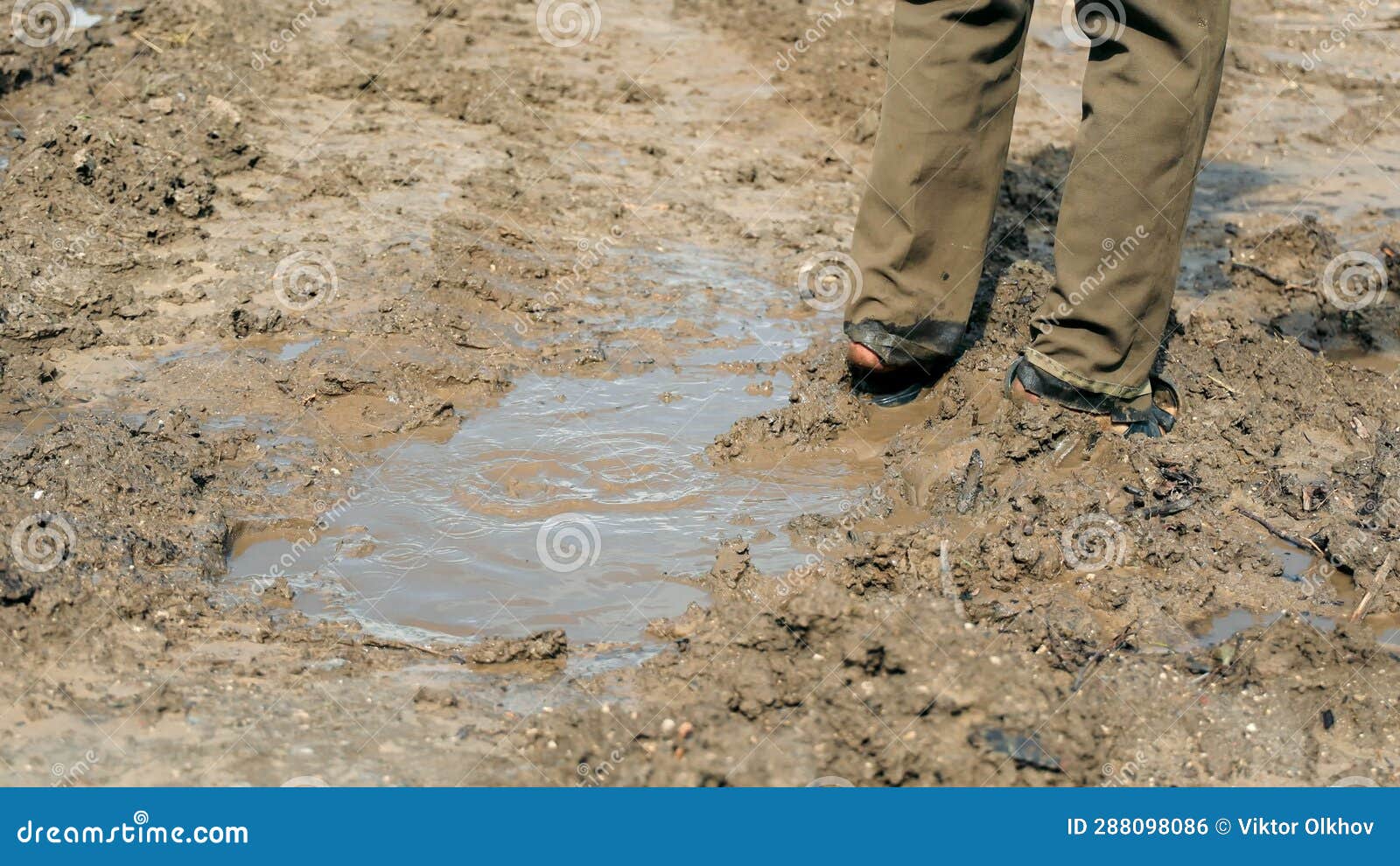 Close-up of a Man Standing in a Swamp. Legs of a Man Walking in a ...