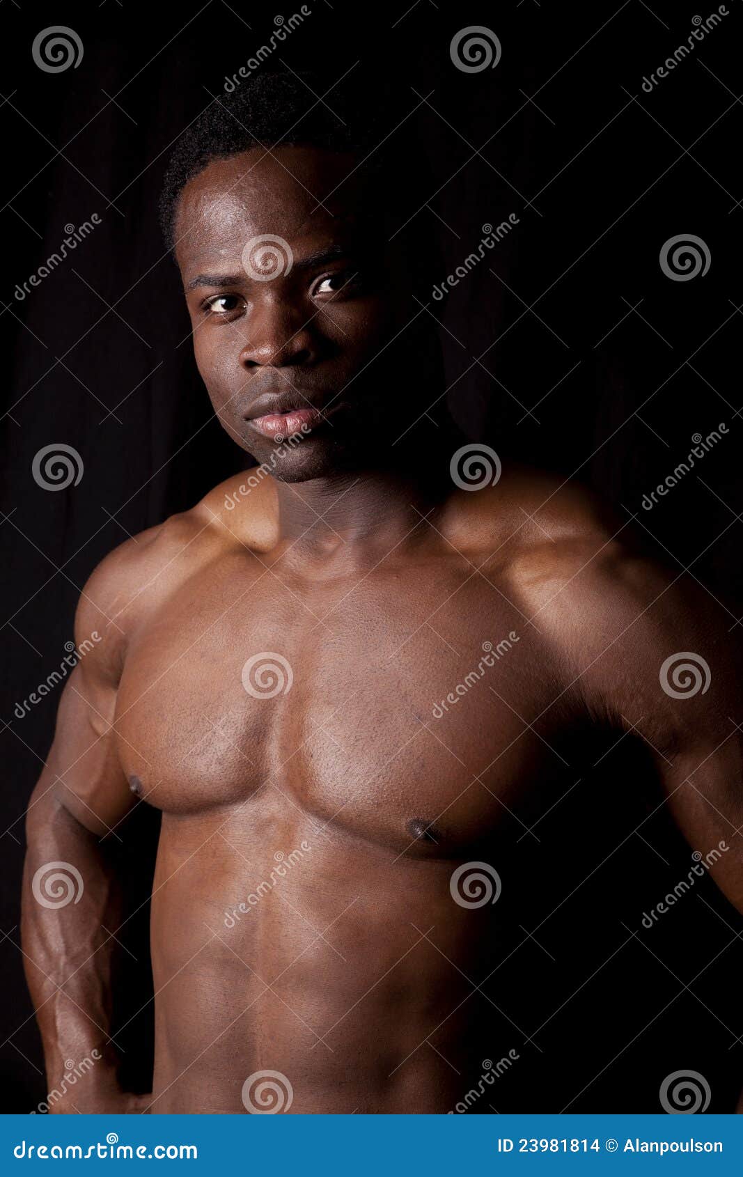 Close up man torso stock photo. Image of isolated, professional - 23981814