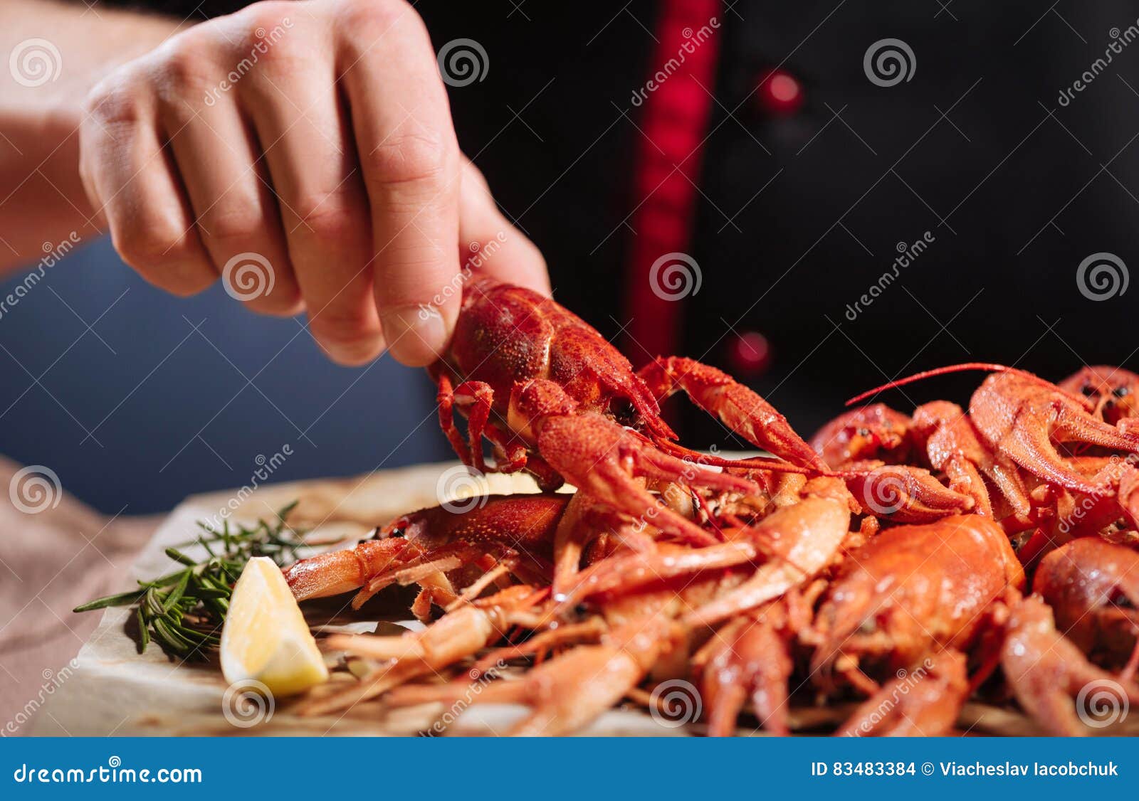 Man Holding Crayfish Hands Stock Photos - Free & Royalty-Free Stock ...