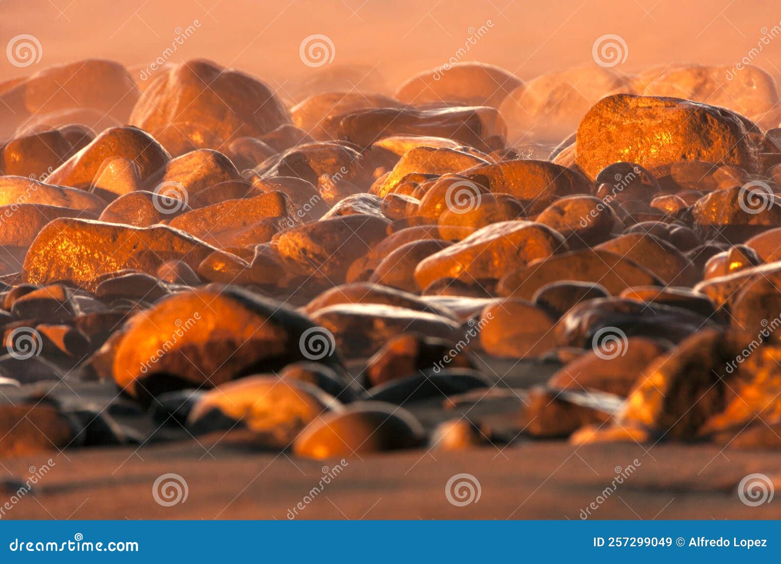 Close-up of Many Pebbles on the Sand of the Beach Stock Image - Image ...
