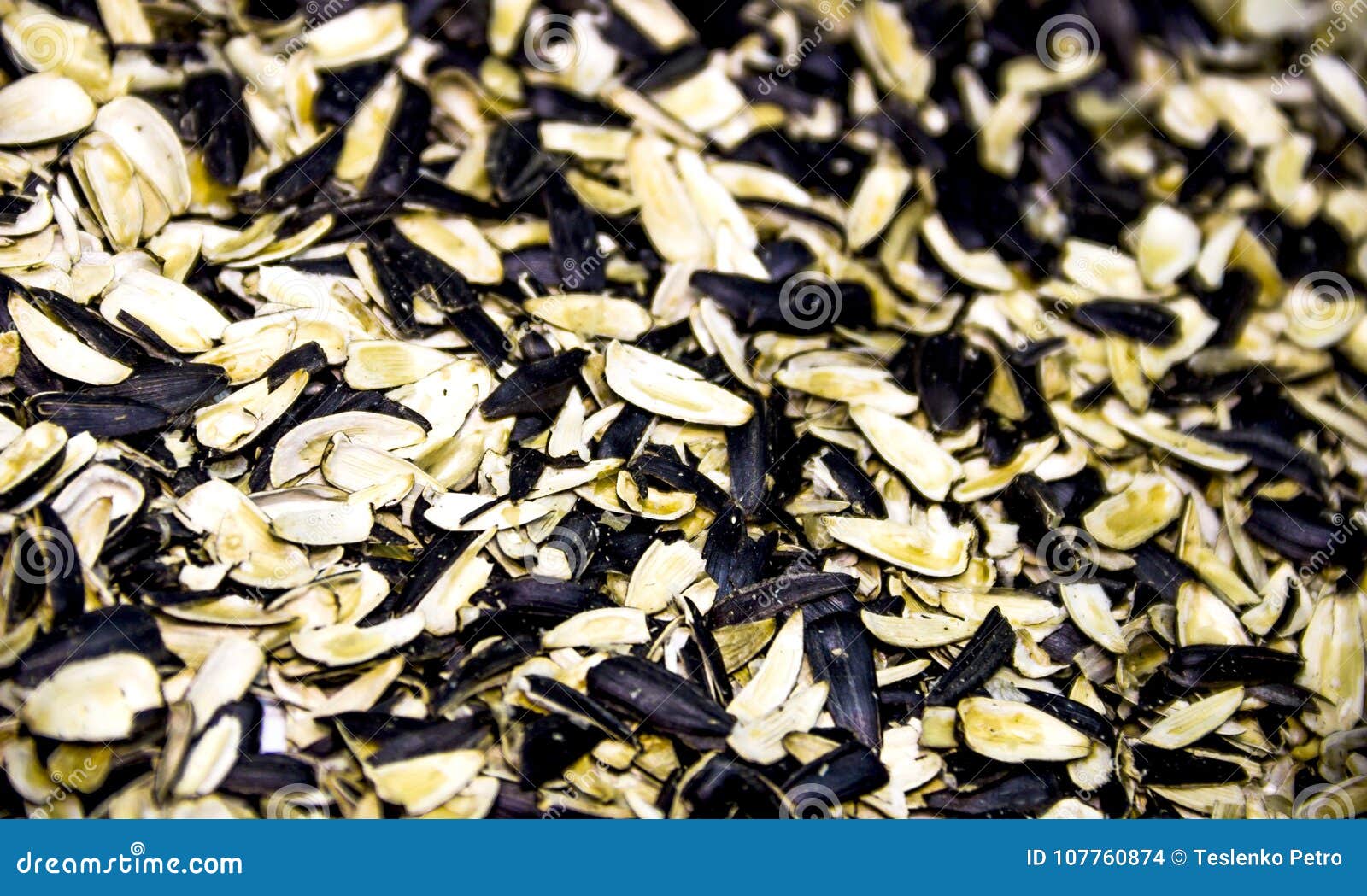 Sunflower seed shells stock photo. Image of stack, rubbish - 107760874