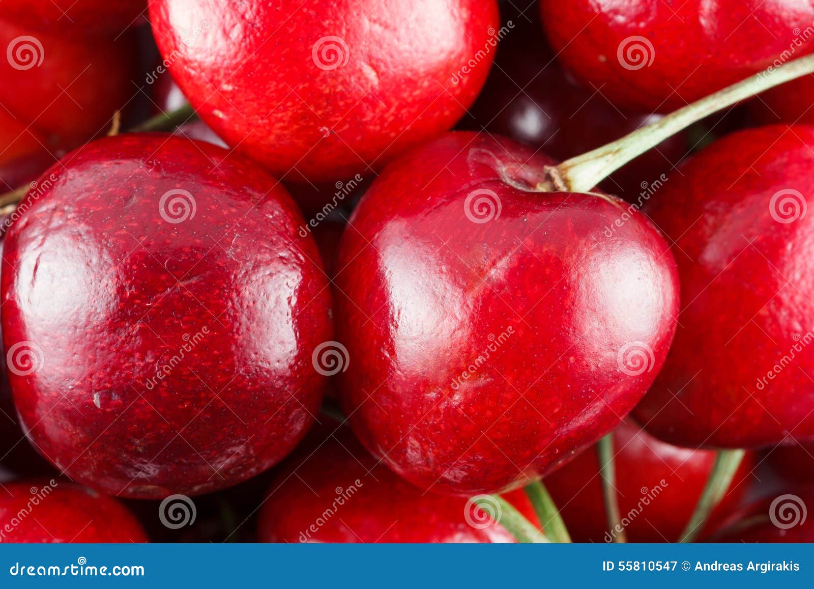 Close-up of Many Wild Cherries Viewed from the Top Stock Image - Image ...