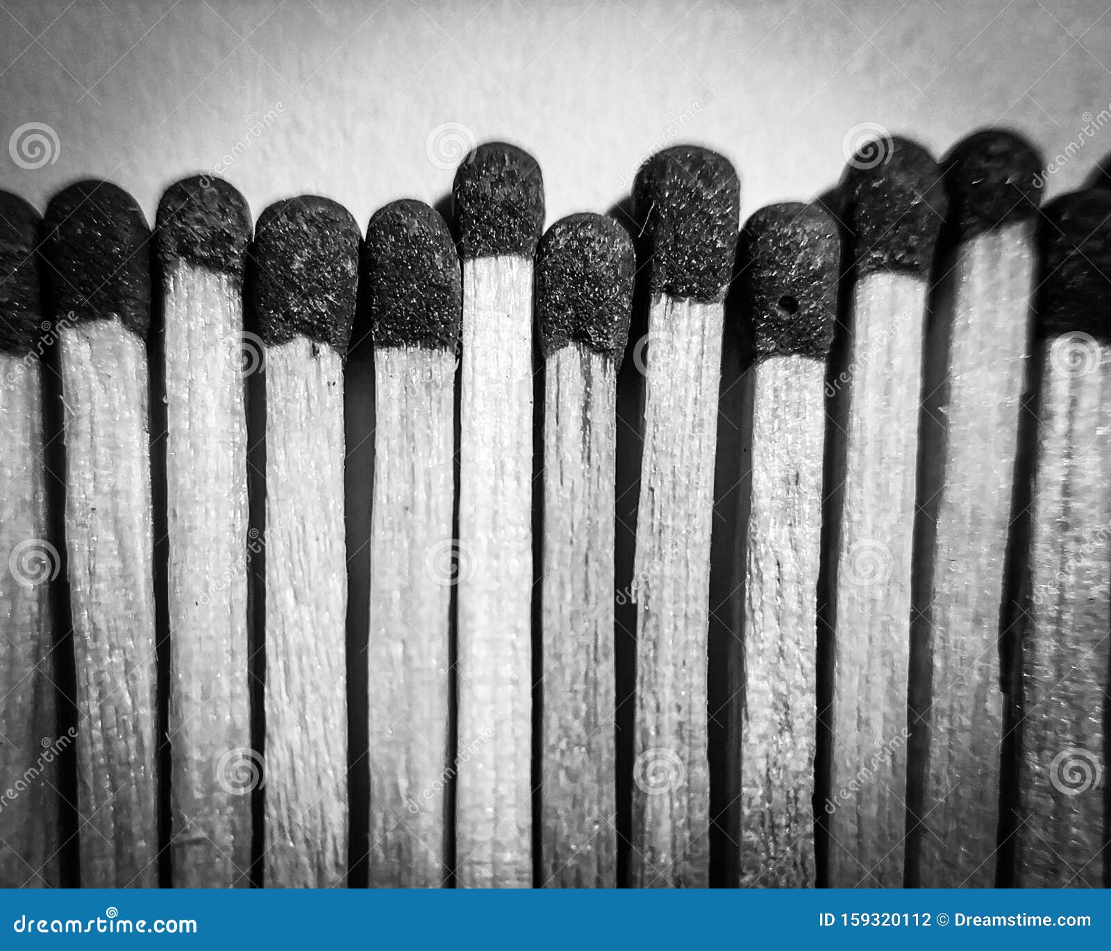 Close-up of Match Sticks in Black and White Stock Photo - Image of ...