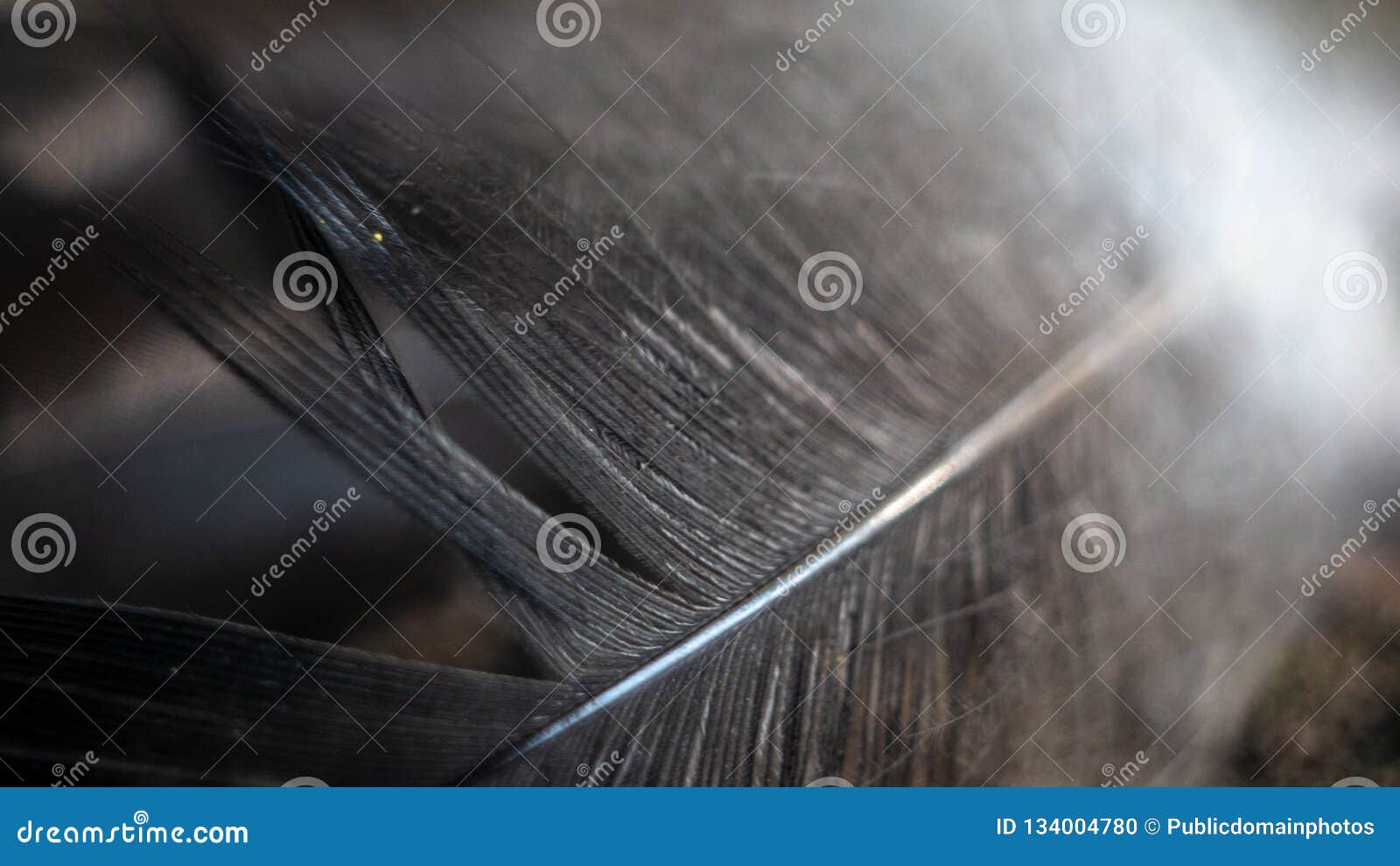 Close Up, Material, Wood, Macro Photography Picture. Image: 134004780