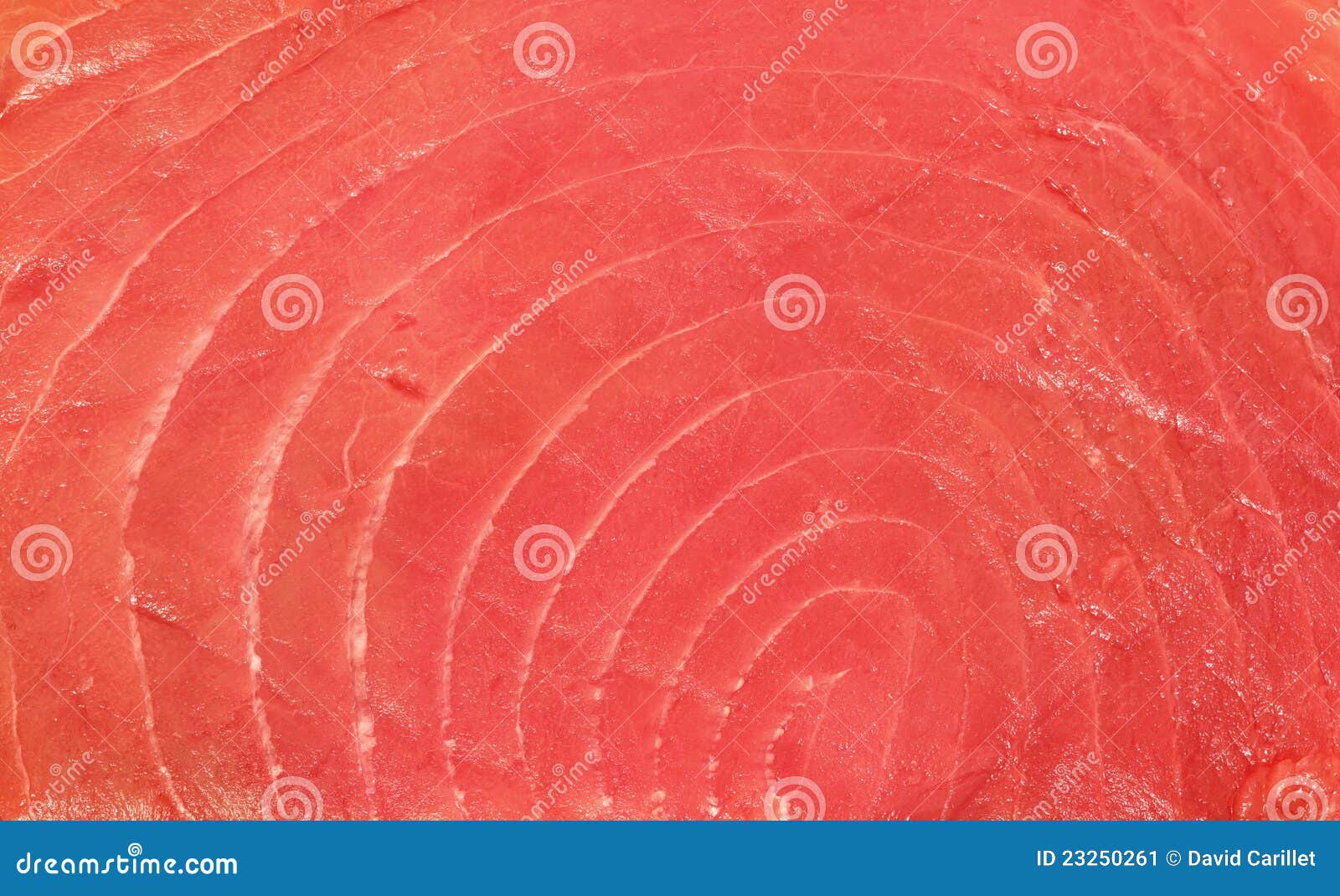 Close-up of Meat Texture with White Rings of Fat Stock Image - Image of ...