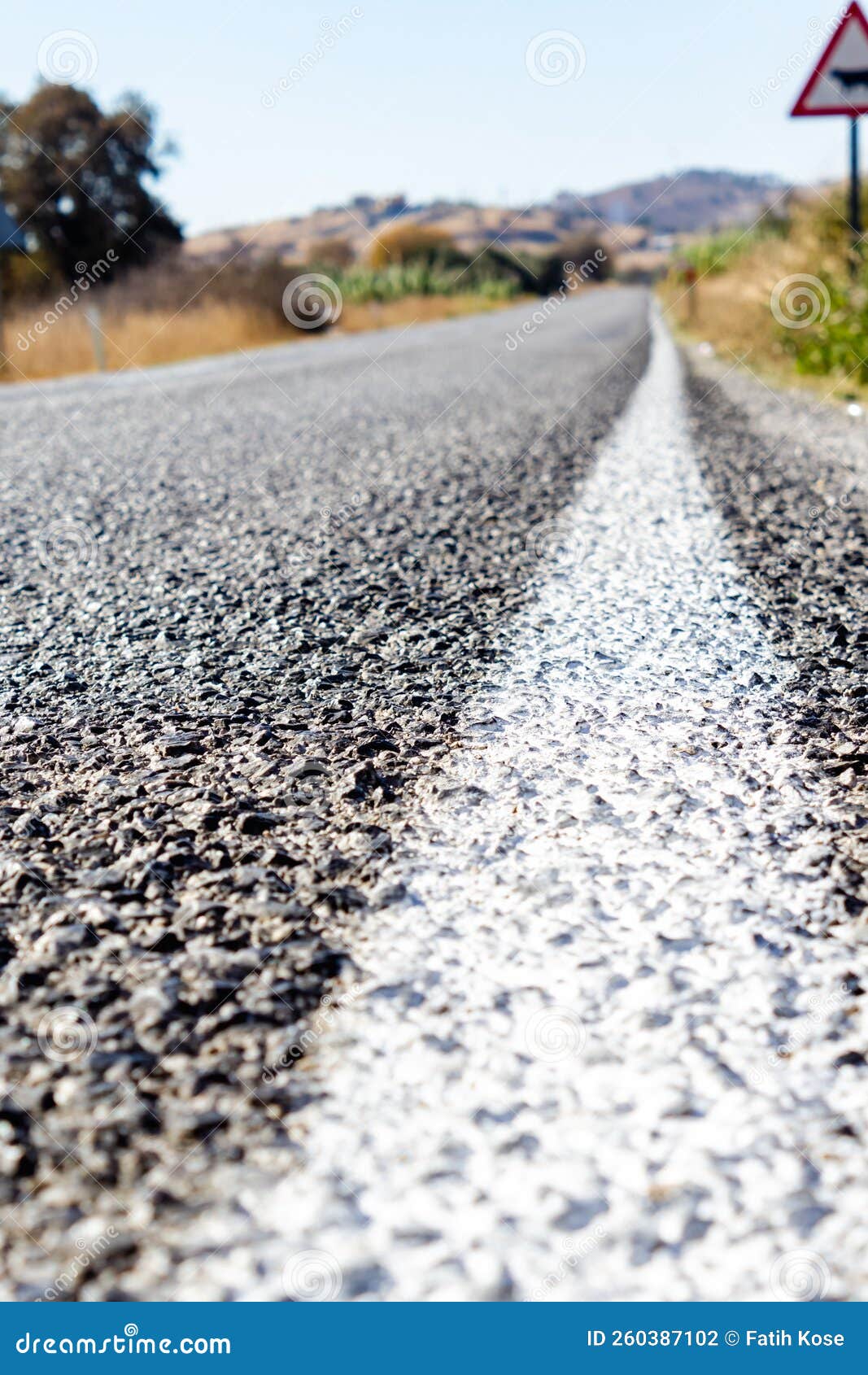 Close-up of the Median Strip on the Side of the Road Stock Photo ...