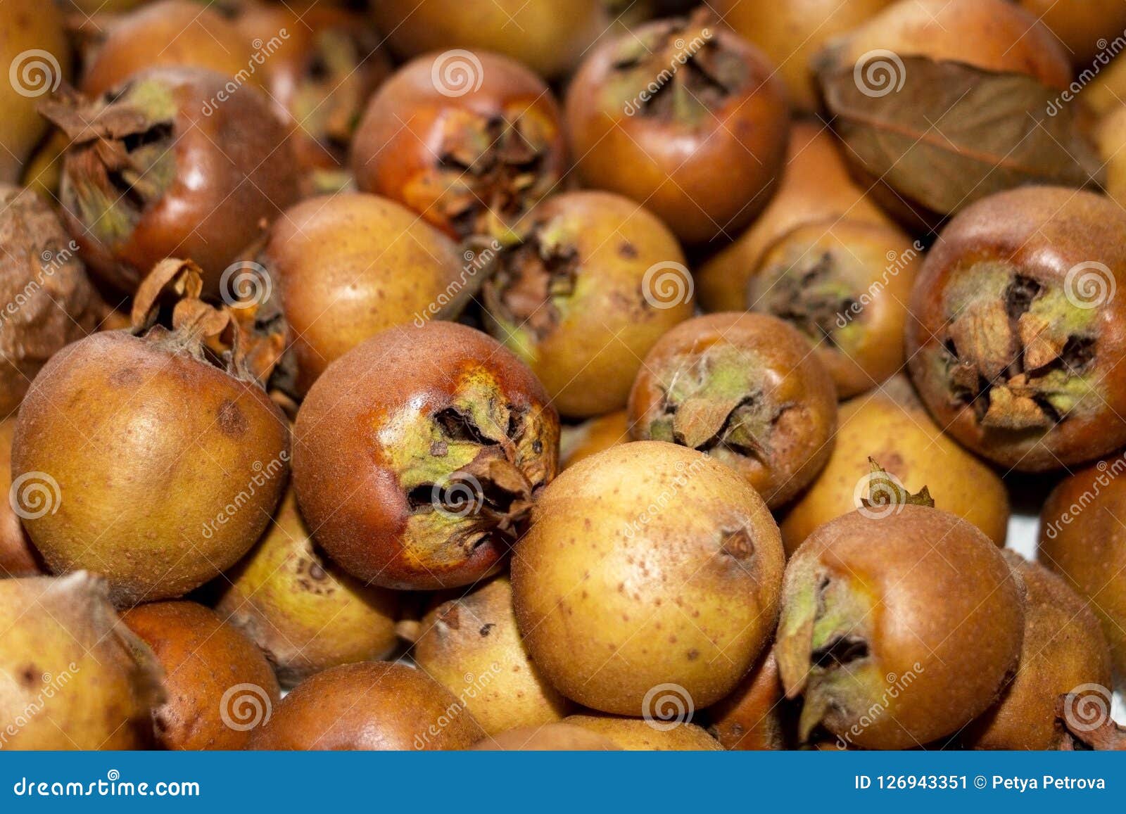 Close up of medlars stock image. Image of color, fresh - 126943351