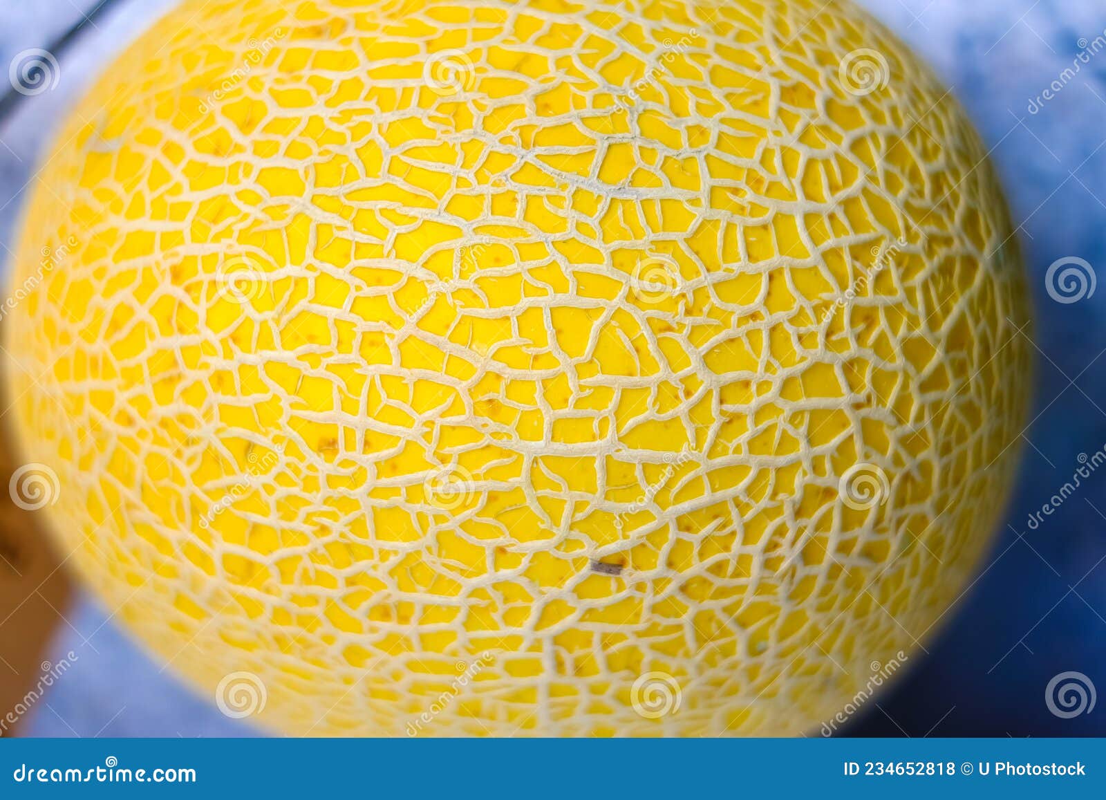 Melon Shell Texture Background Stock Photo - Image of close, fruit ...