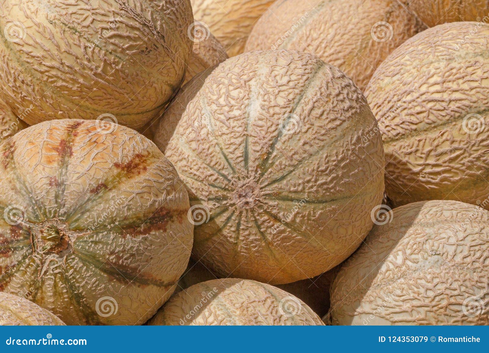 Close up of melons stock image. Image of ripe, mellon - 124353079