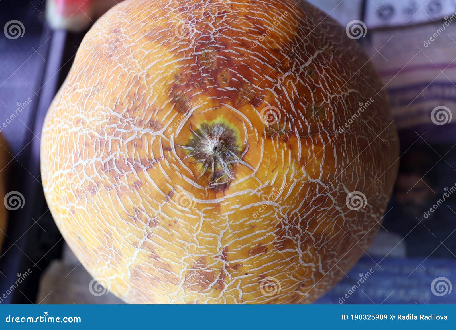 Close Up of Melons. Texture of Melon Peel Stock Image - Image of tasty ...