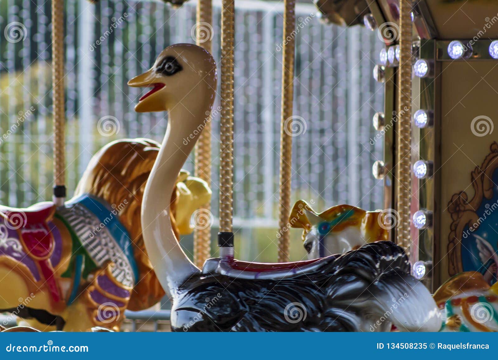 Close-up of Merry-go-Round Carousel Stock Image - Image of memories ...