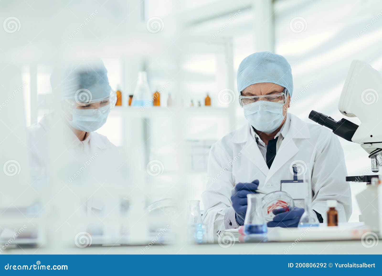 Close Up. Microbiologists Study Bacteria in a Petri Dish Stock Photo ...