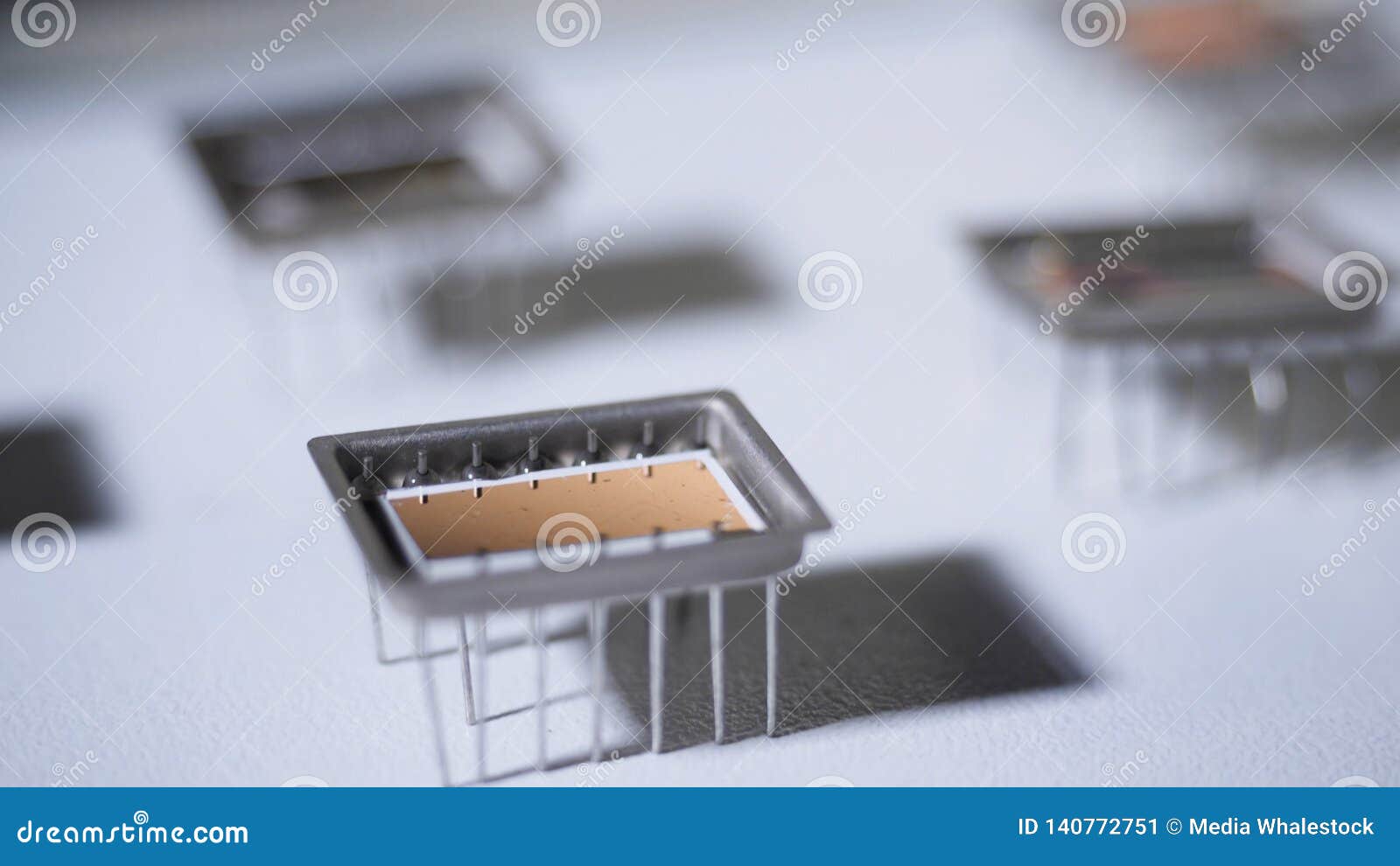 Close-up of Microchip on Legs. Electronic Microchip with Reflecting ...