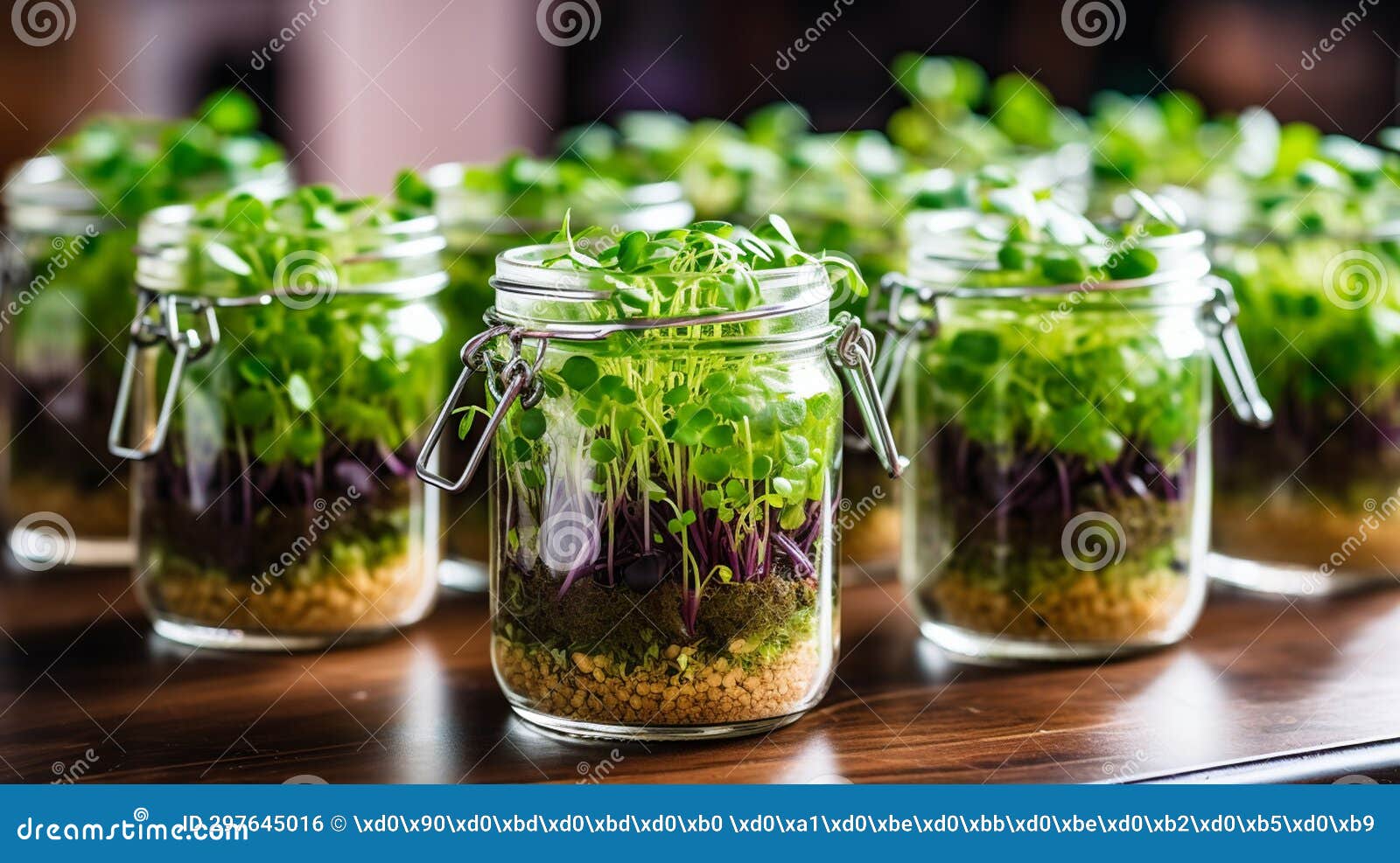 Close-up of Microgreens Growing in Glass Jars.Generative AI Stock ...