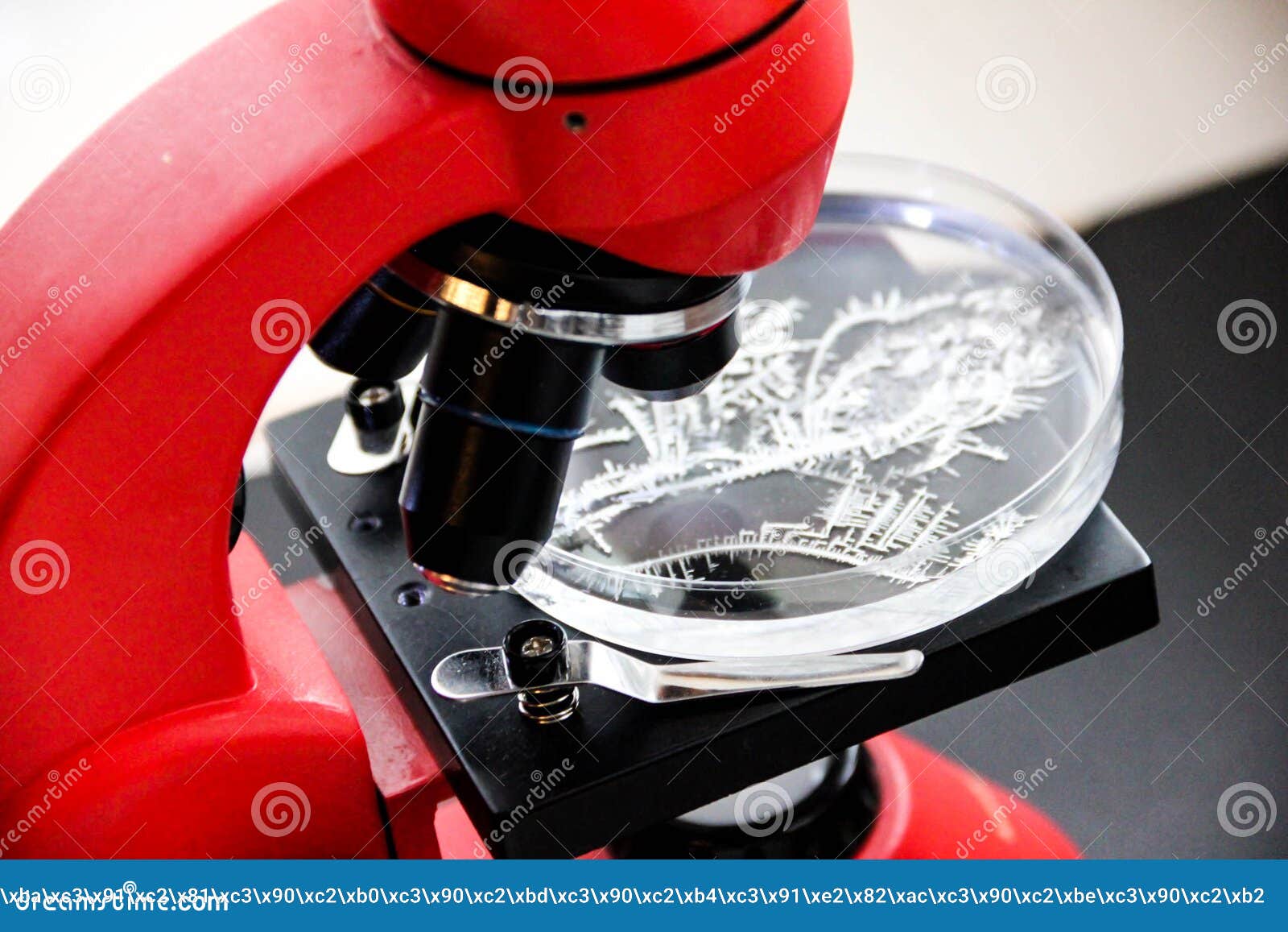 Close up of a microscope stock photo. Image of microscope - 190970176