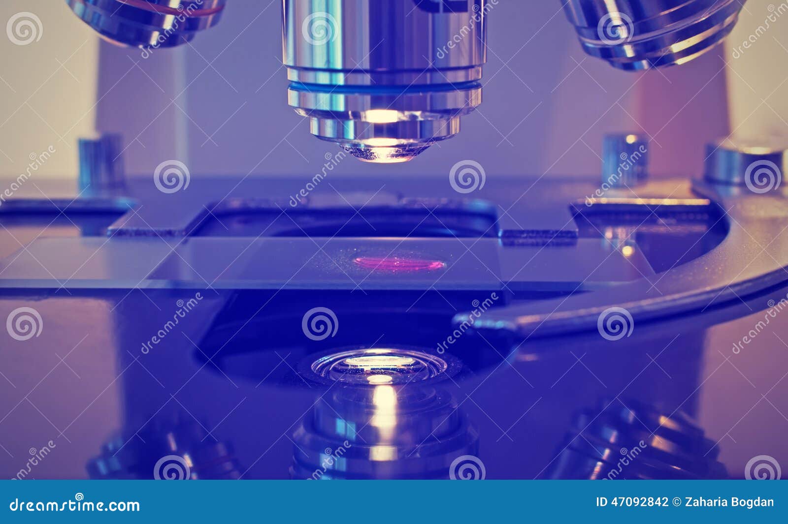 Close Up Microscope Lenses Focused on a Specimen Stock Photo - Image of ...