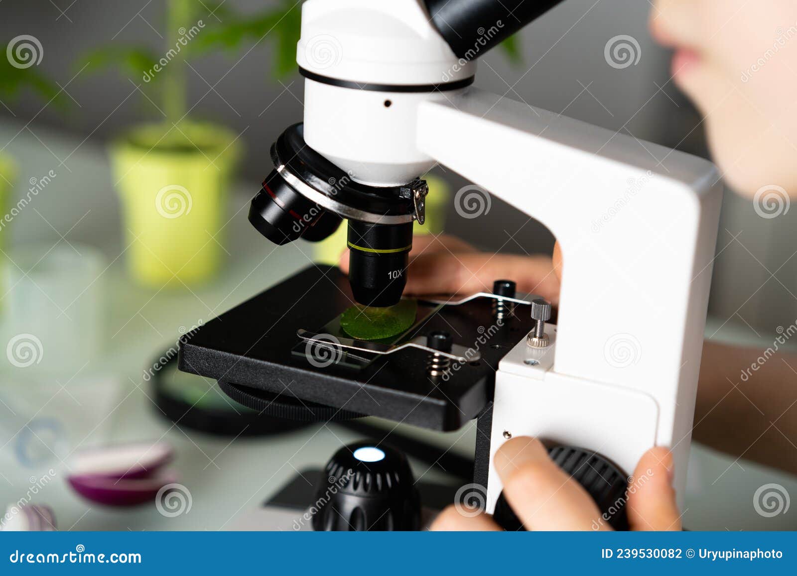 Close-up Microscope and Plant Study, Increasing and Studying Nature ...
