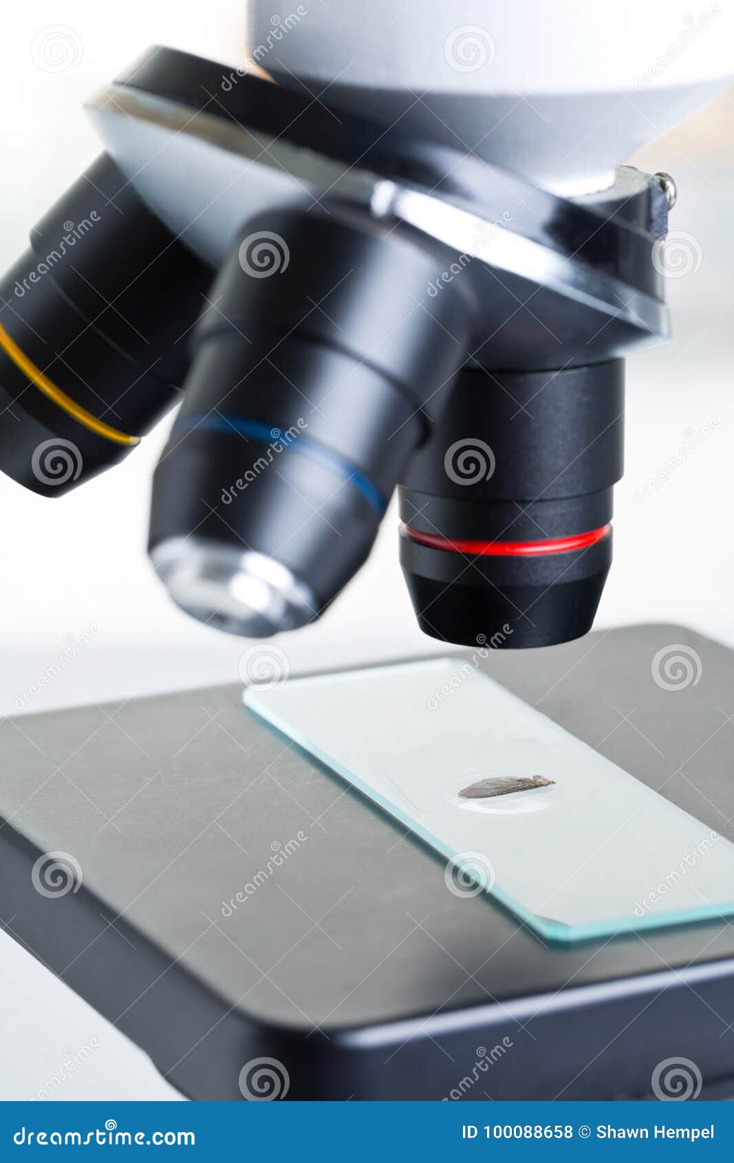 Close Up of Microscope with Sample in Lab Stock Photo - Image of ...