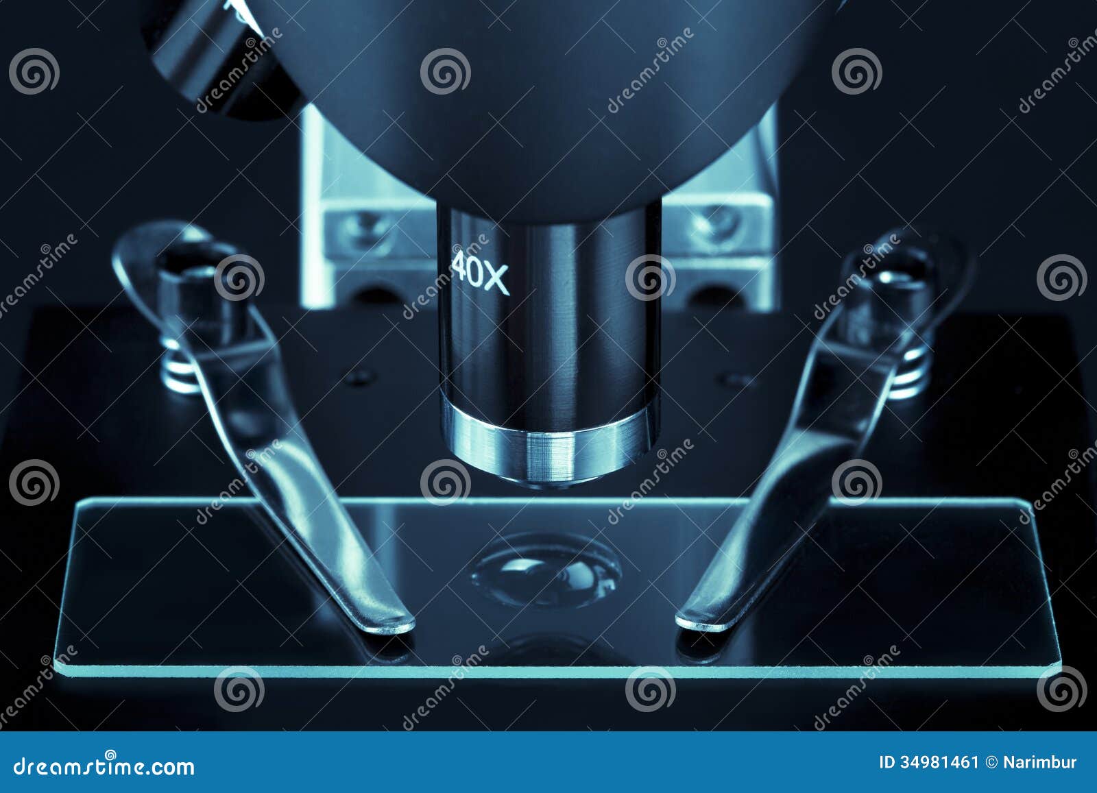 Close Up of a Microscope Slide Stock Image - Image of slide, people ...