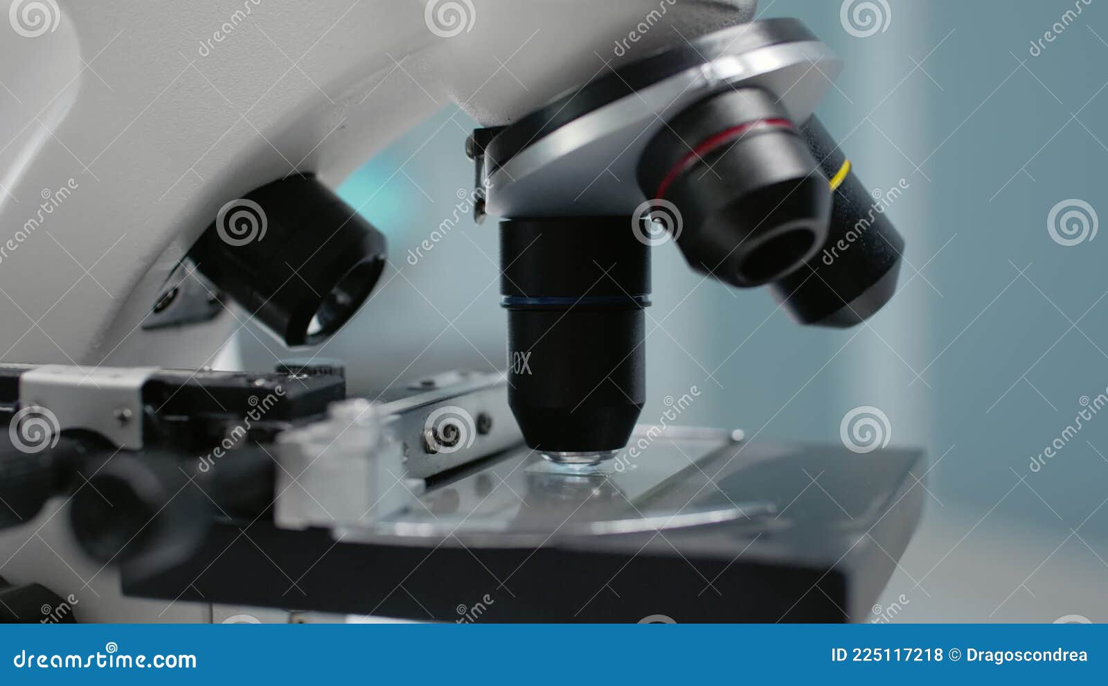 Close Up of Microscopic Sample Glass Tray in Laboratory Stock Footage ...