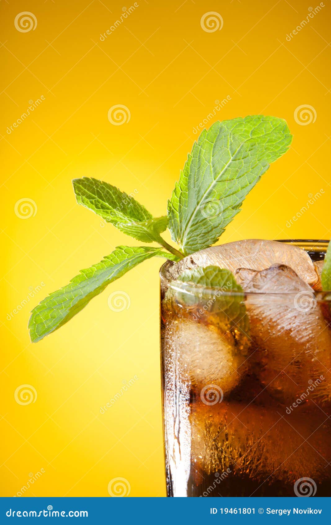 Close-up of mint in cola stock image. Image of mint, condensation ...