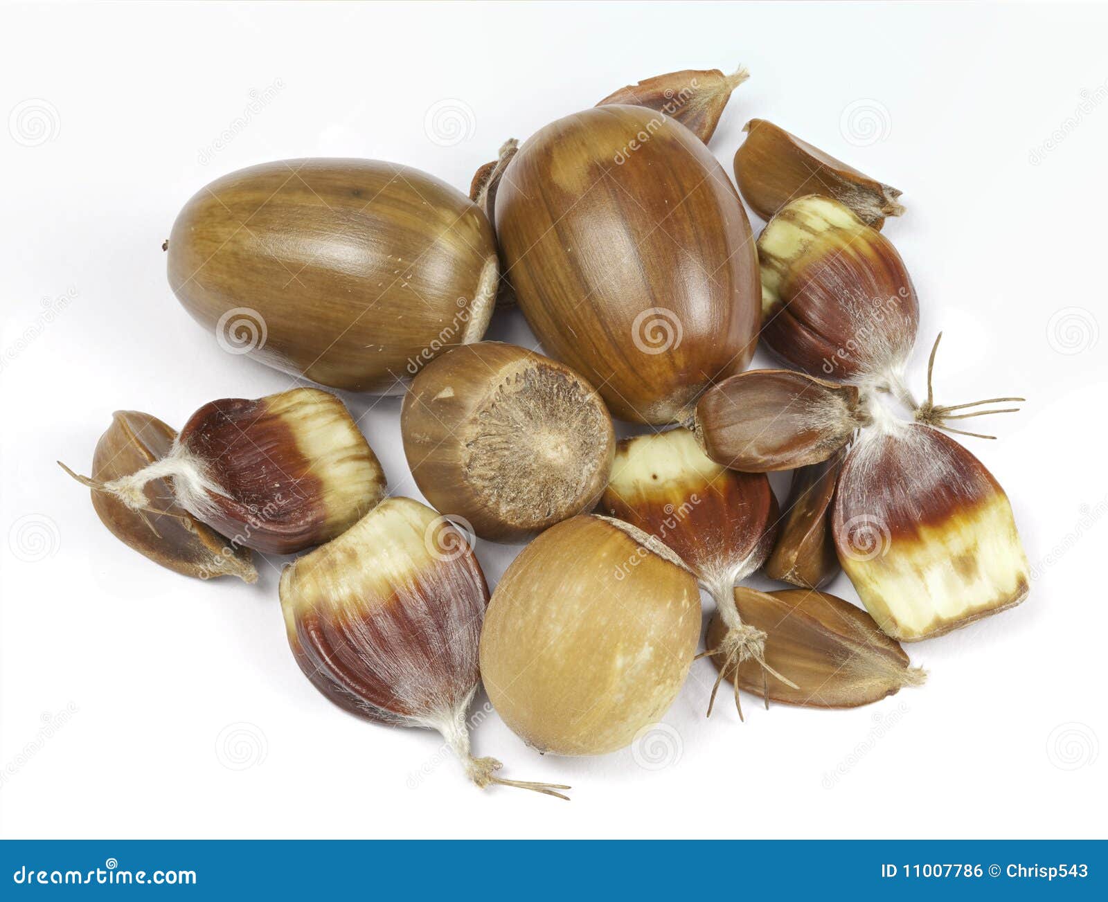 Close Up of Mixed Wild Nuts Stock Photo - Image of autumnal, nature ...