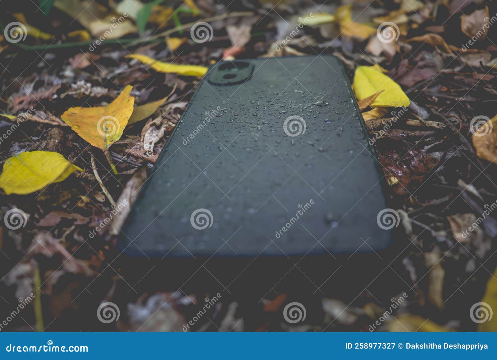 Close Up the Mobile Phone on Withered Leaves Stock Image - Image of ...
