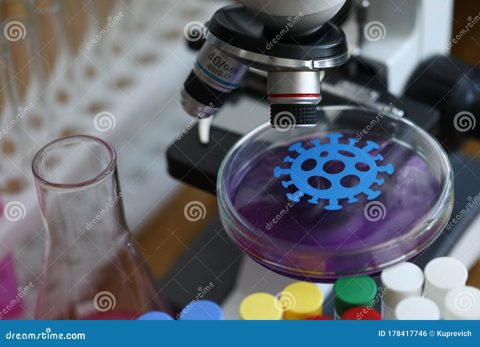 Lab with researched object stock photo. Image of flora - 178417746