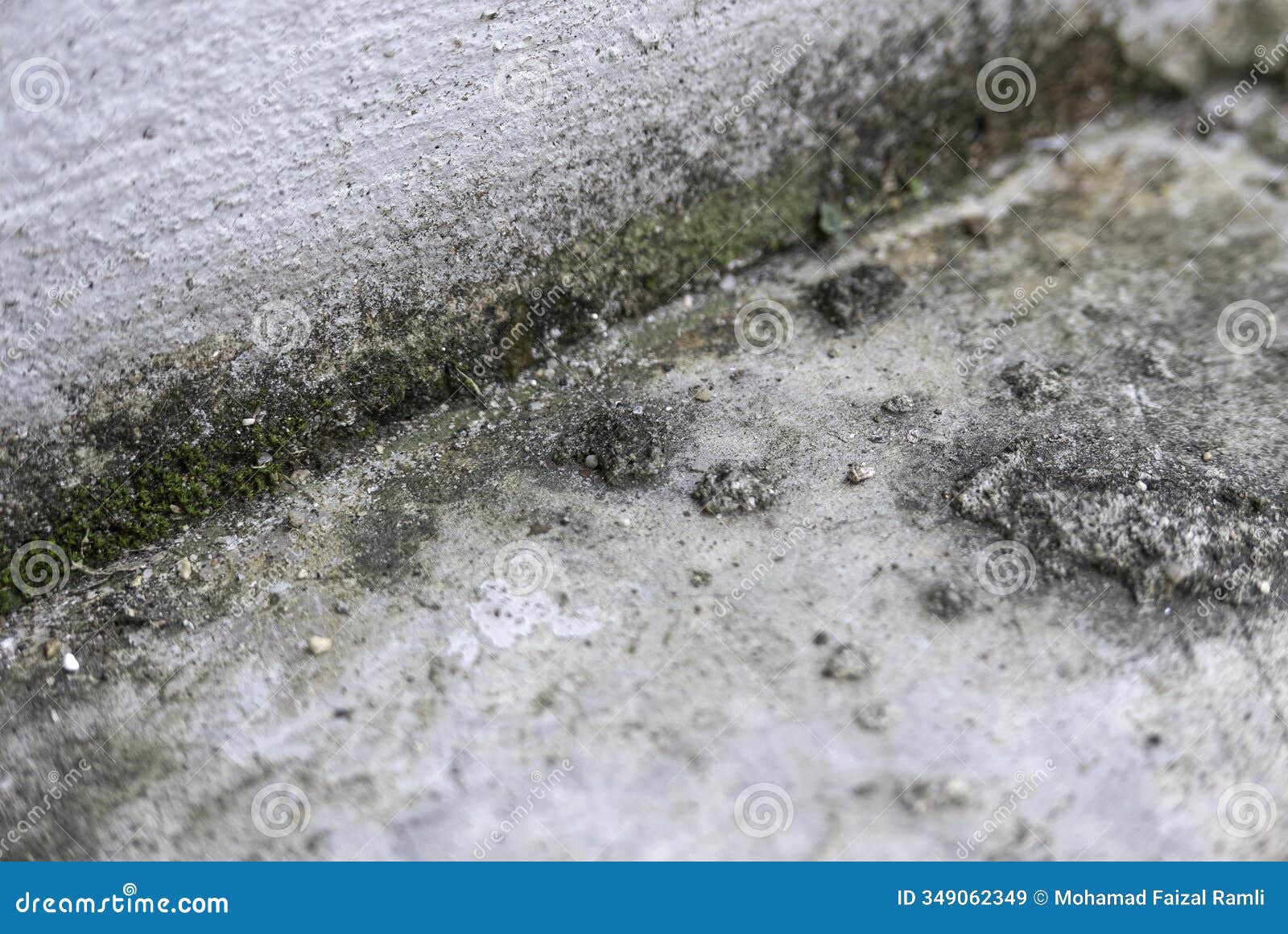 Algae On Concrete Stock Image | CartoonDealer.com #4972369