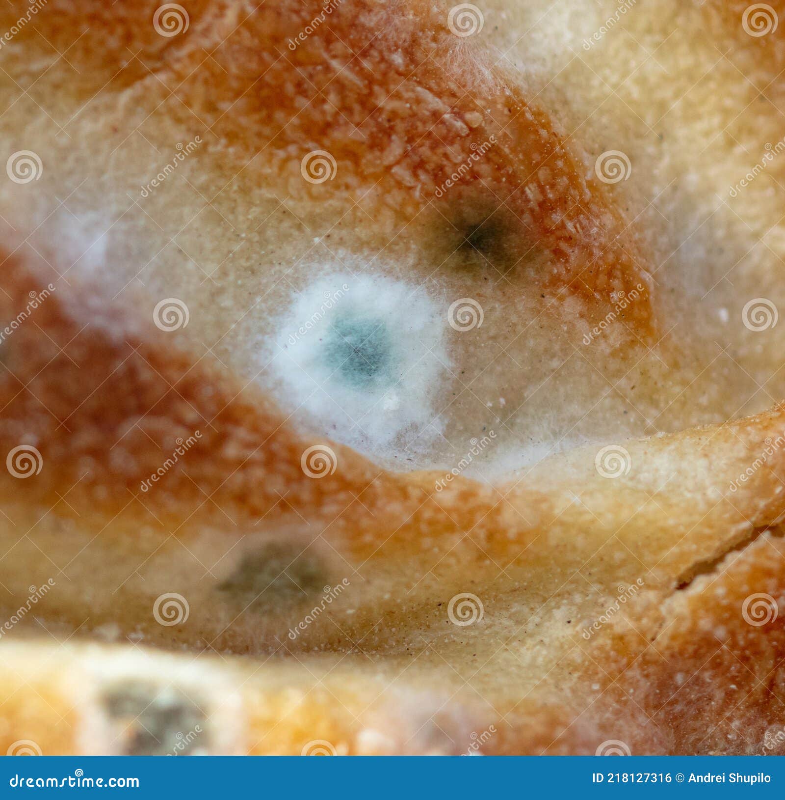 Close-up of Mold on Bread As Background. Stock Photo - Image of green ...