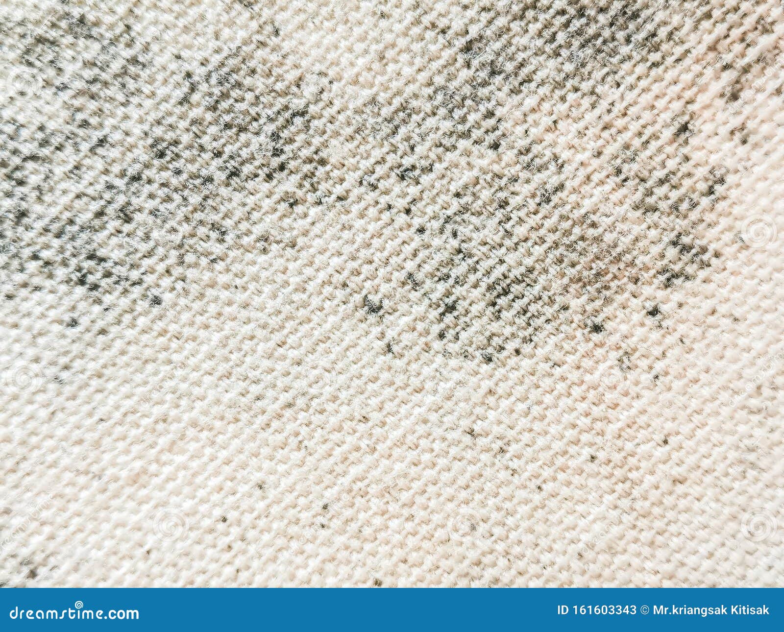 Close-up Mold on the Surface of the Fabric Stock Image - Image of brown ...