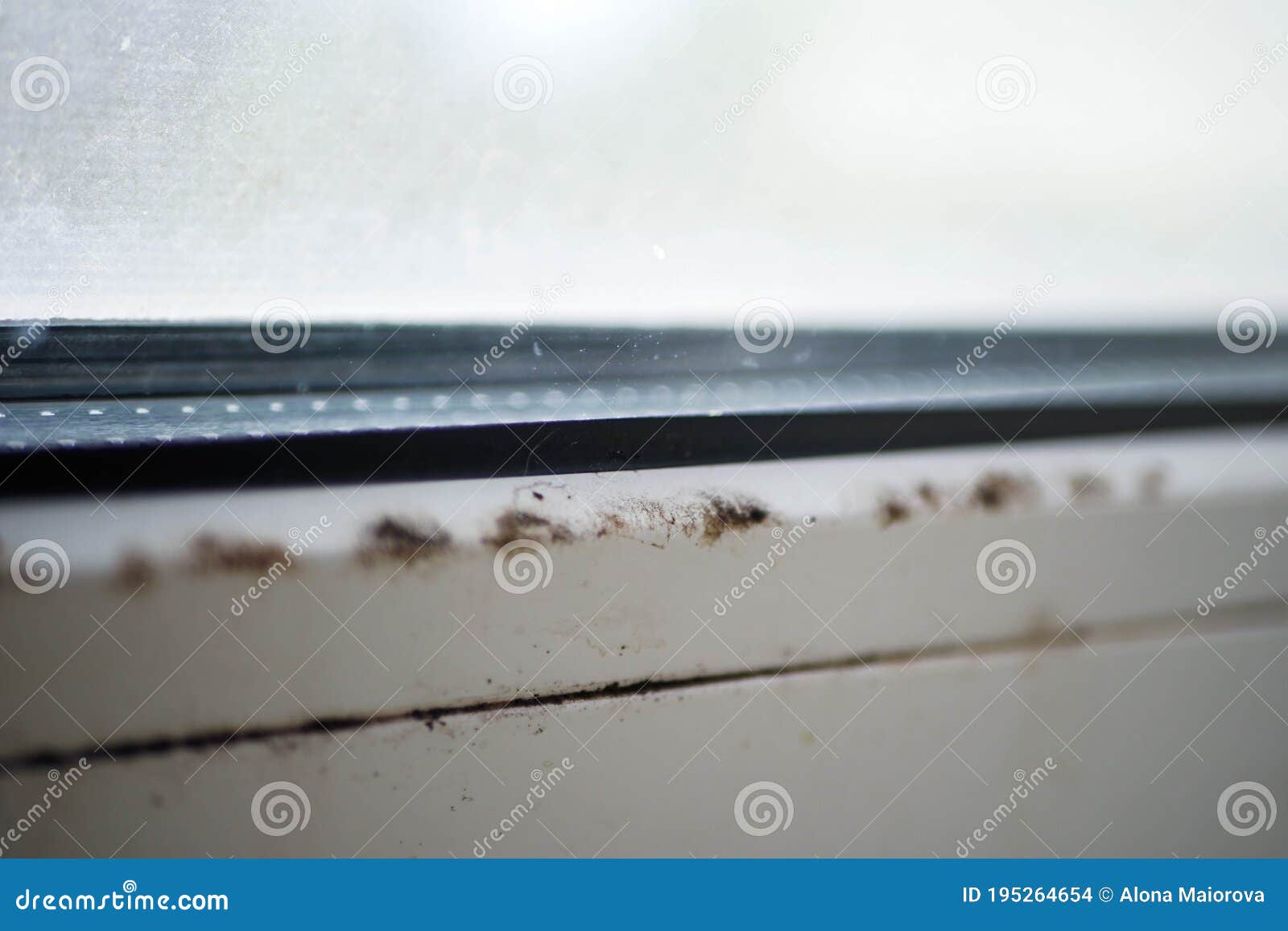 Close Up Mold on the Window at Home. Stock Photo - Image of metal, home ...