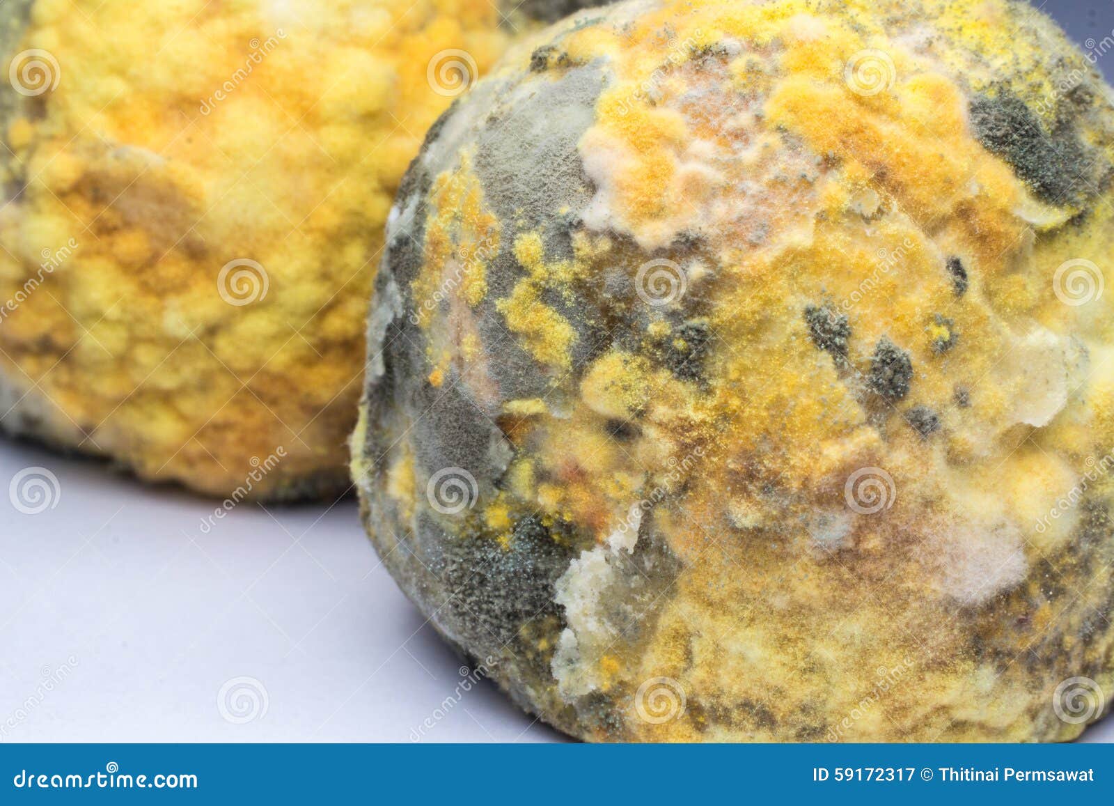 Close-up Moldy food stock image. Image of pretty, present - 59172317