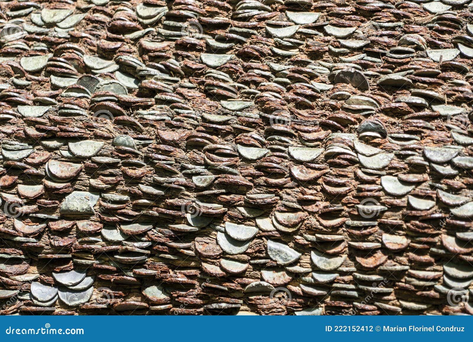 Money Tree at Ingleton Waterfalls Trail in the UK Stock Photo - Image ...