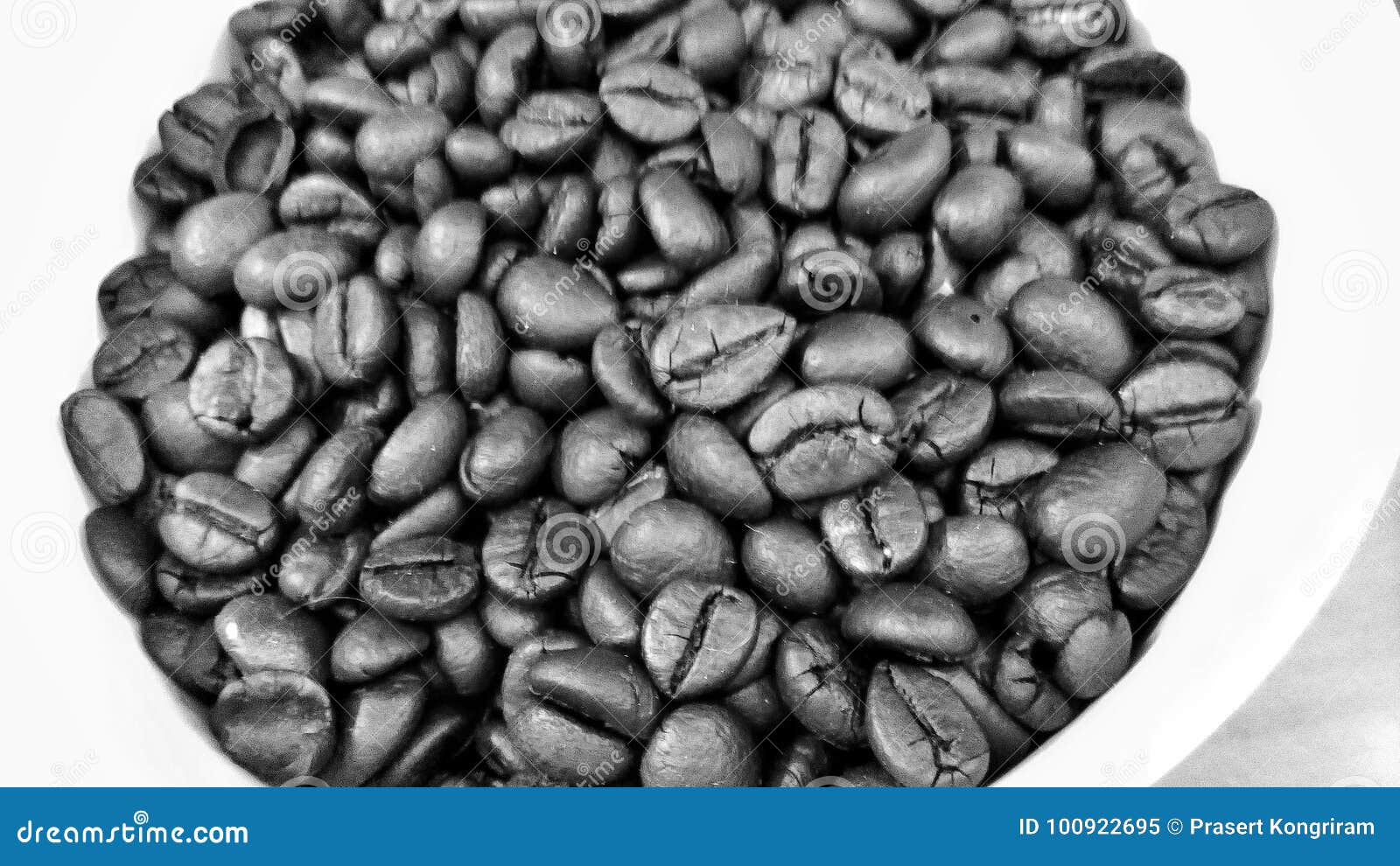 Montero coffee stock image. Image of montero, white - 100922695