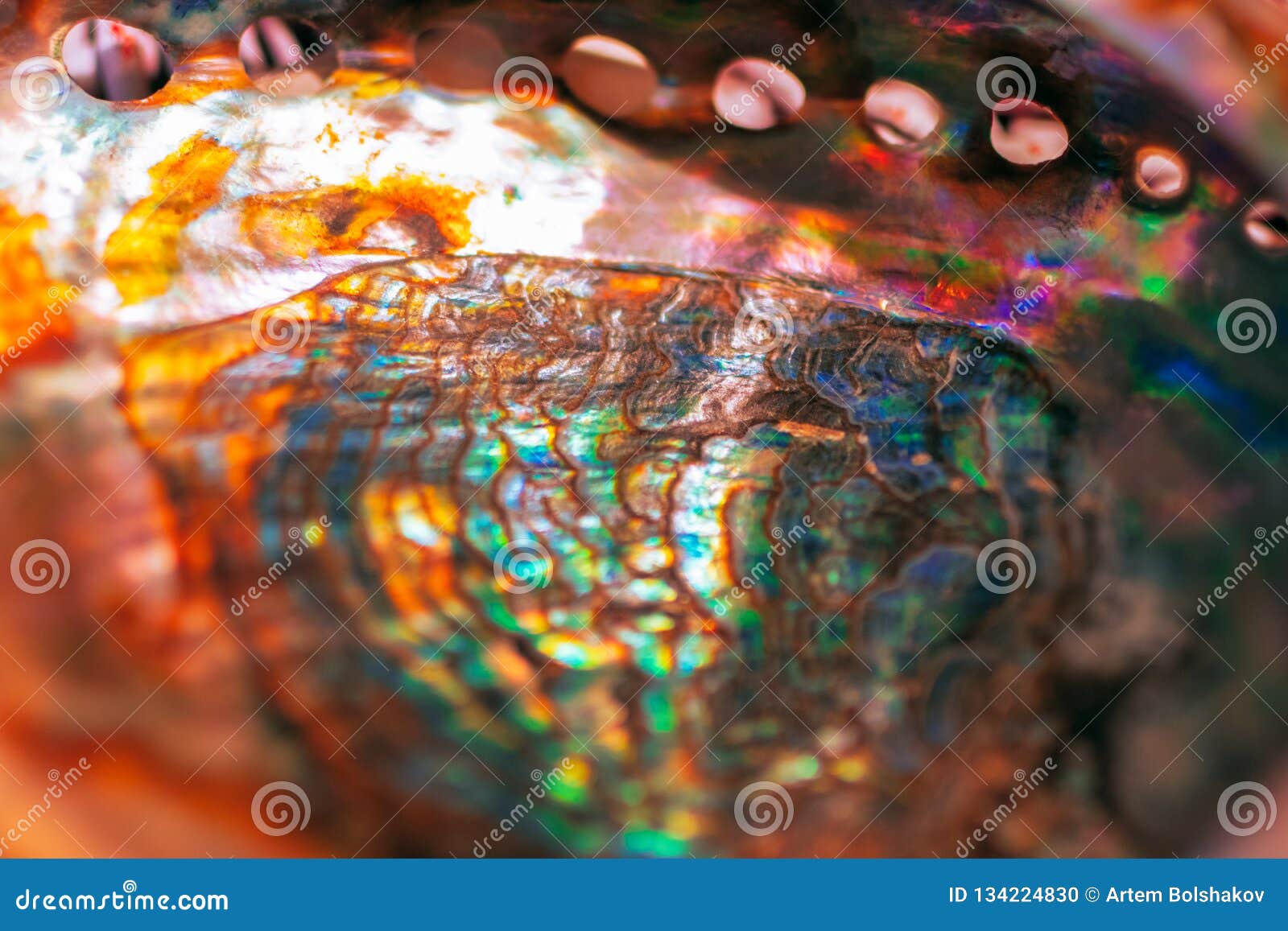 Close-up of Mother of Pearl. Multicolor Texture of Seashell, Multicolor ...