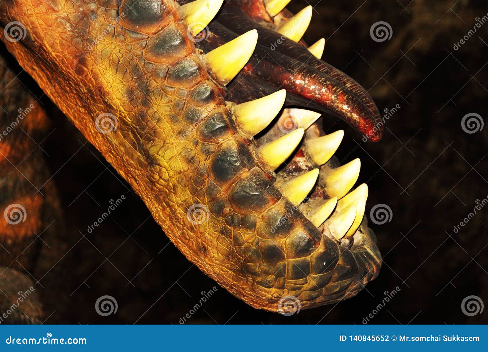 Close Up of Mouth and Teeth Dinosaurs Toy Stock Photo - Image of force ...