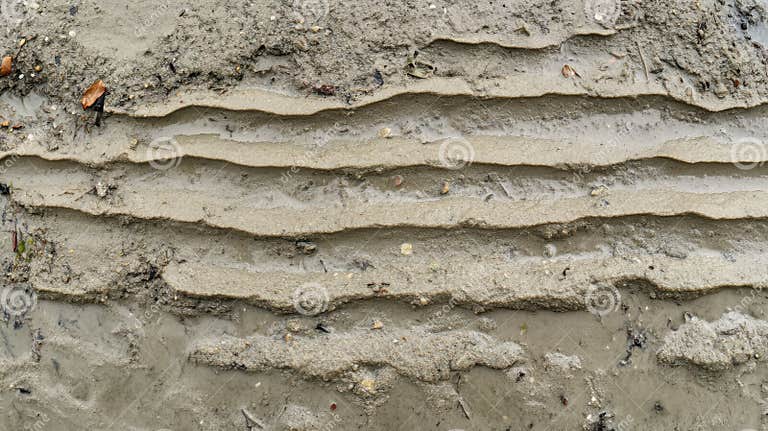 Close Up of Mud Texture with Natural Patterns and Layers Stock ...