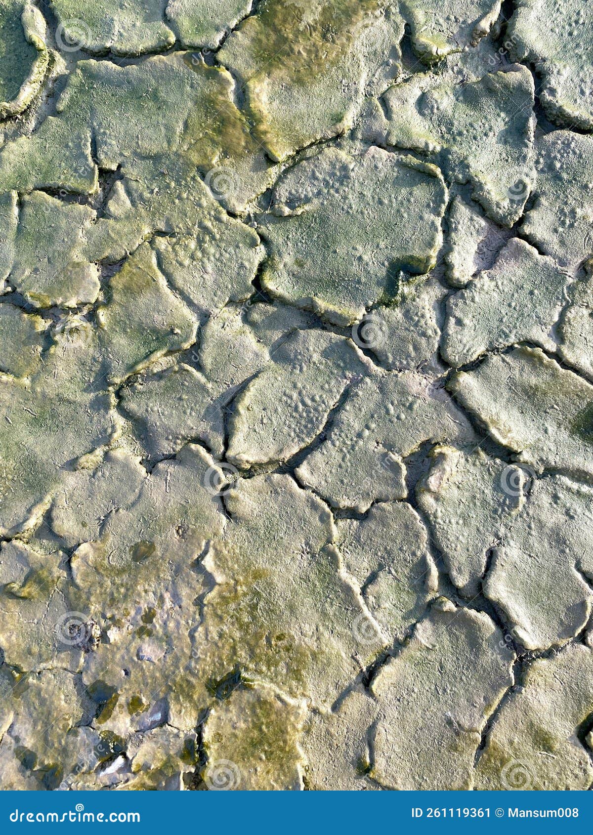 Muddy on the ground stock image. Image of outdoor, texture - 261119361