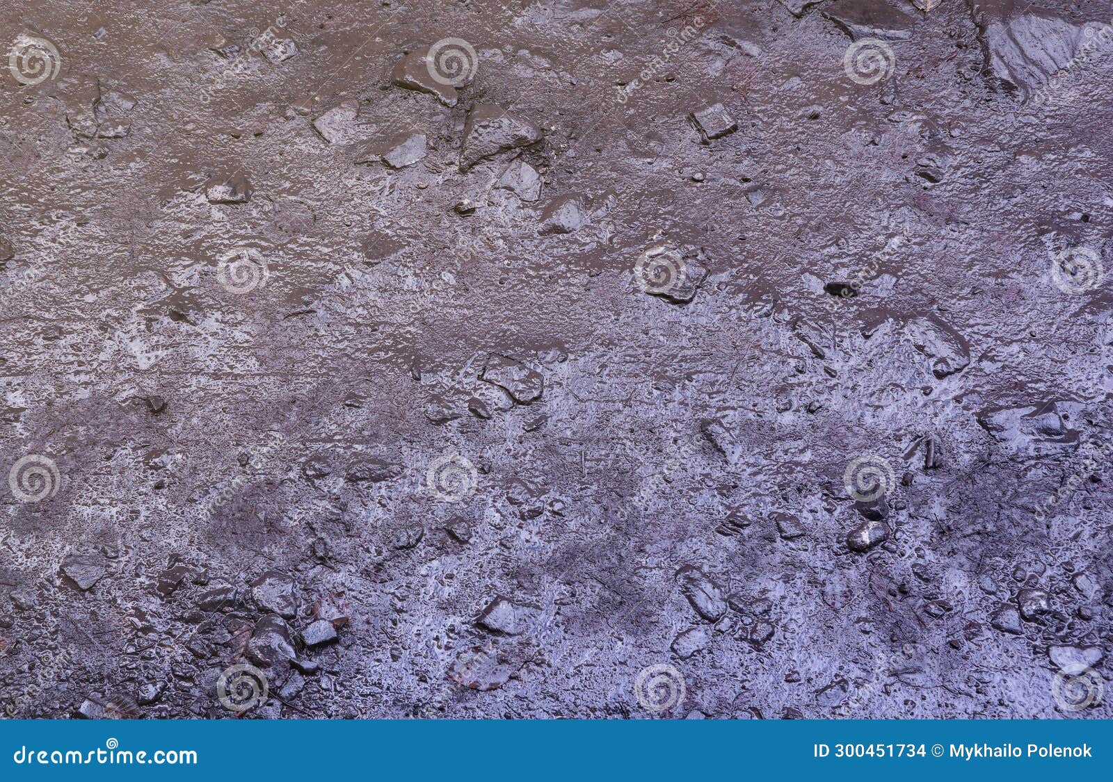 Close Up of Muddy Puddle with Small Stones on Wet Surface. Background ...