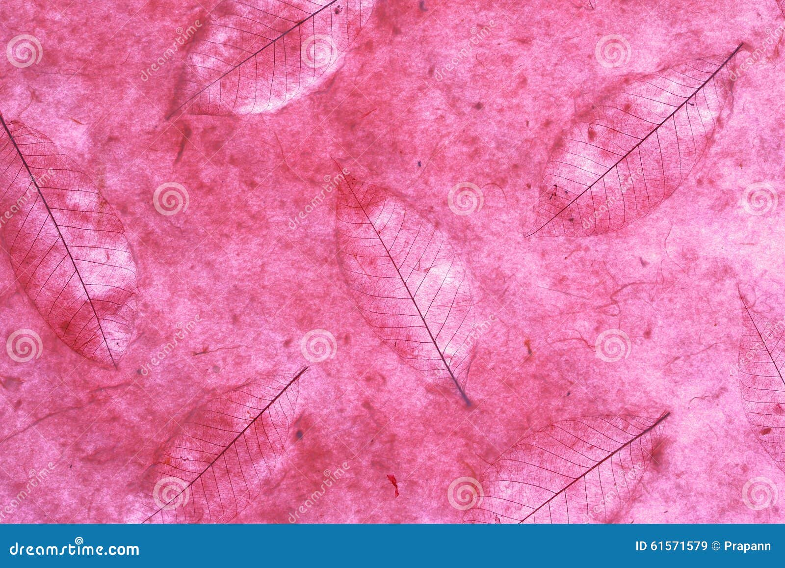 Close Up Mulberry Paper Texture Background Stock Image - Image of ...