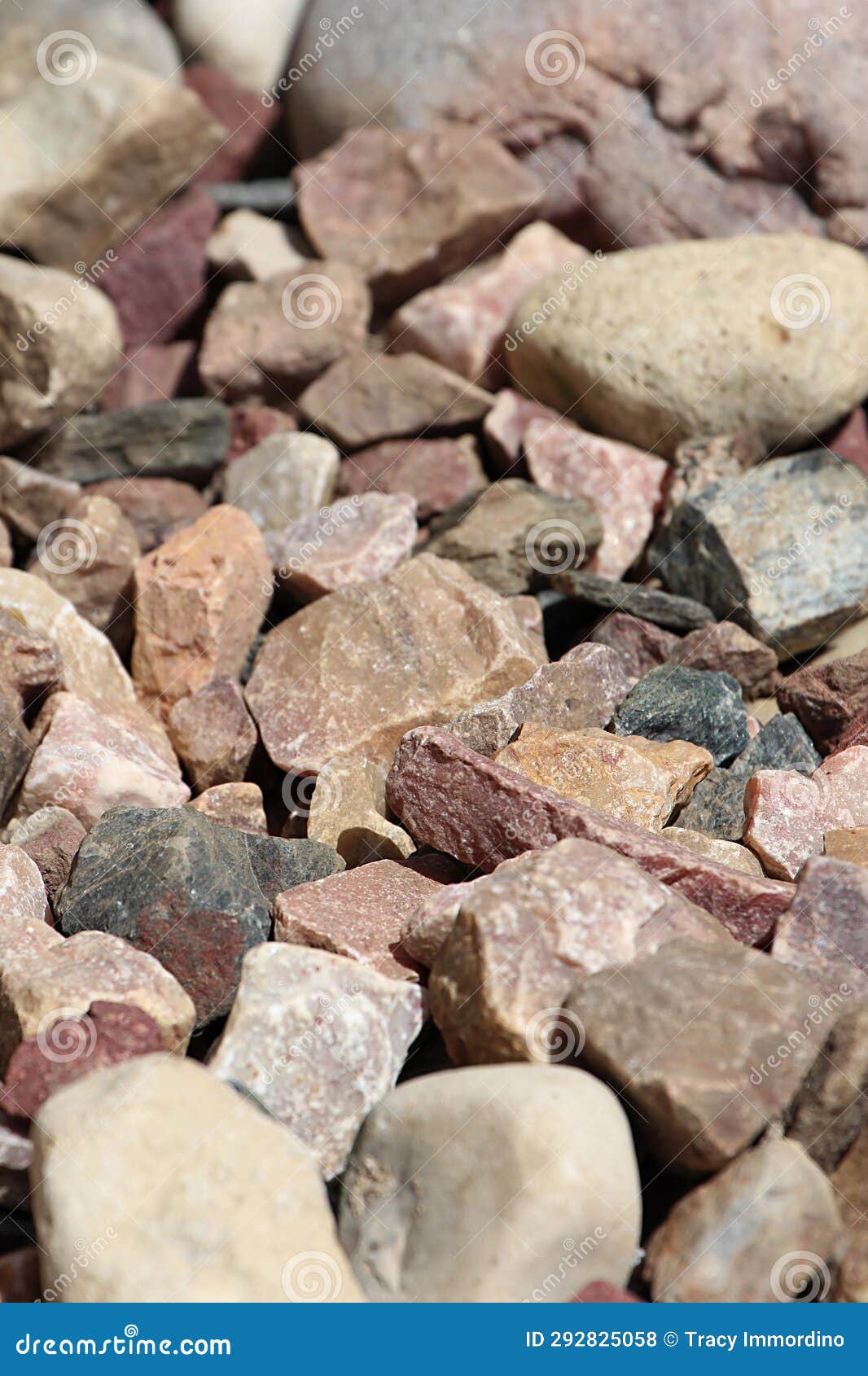 Close Up of Multi-colored River Rock Stock Photo - Image of ...