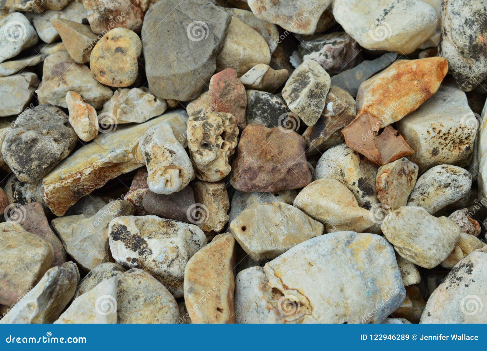 Close Up of Multi Colored River Rocks. Stock Image - Image of granite ...